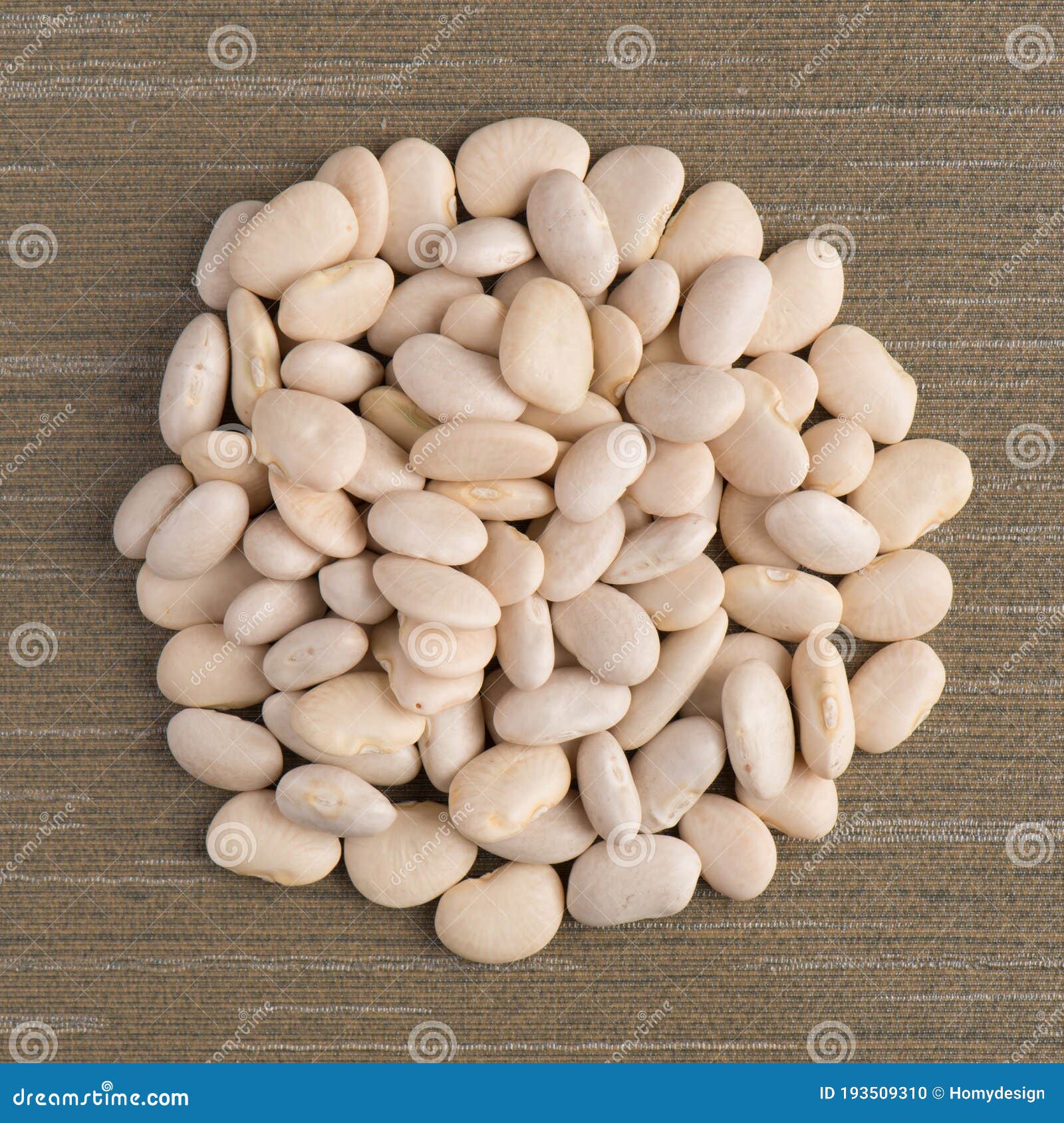 Circle of white beans stock photo. Image of cooking - 193509310