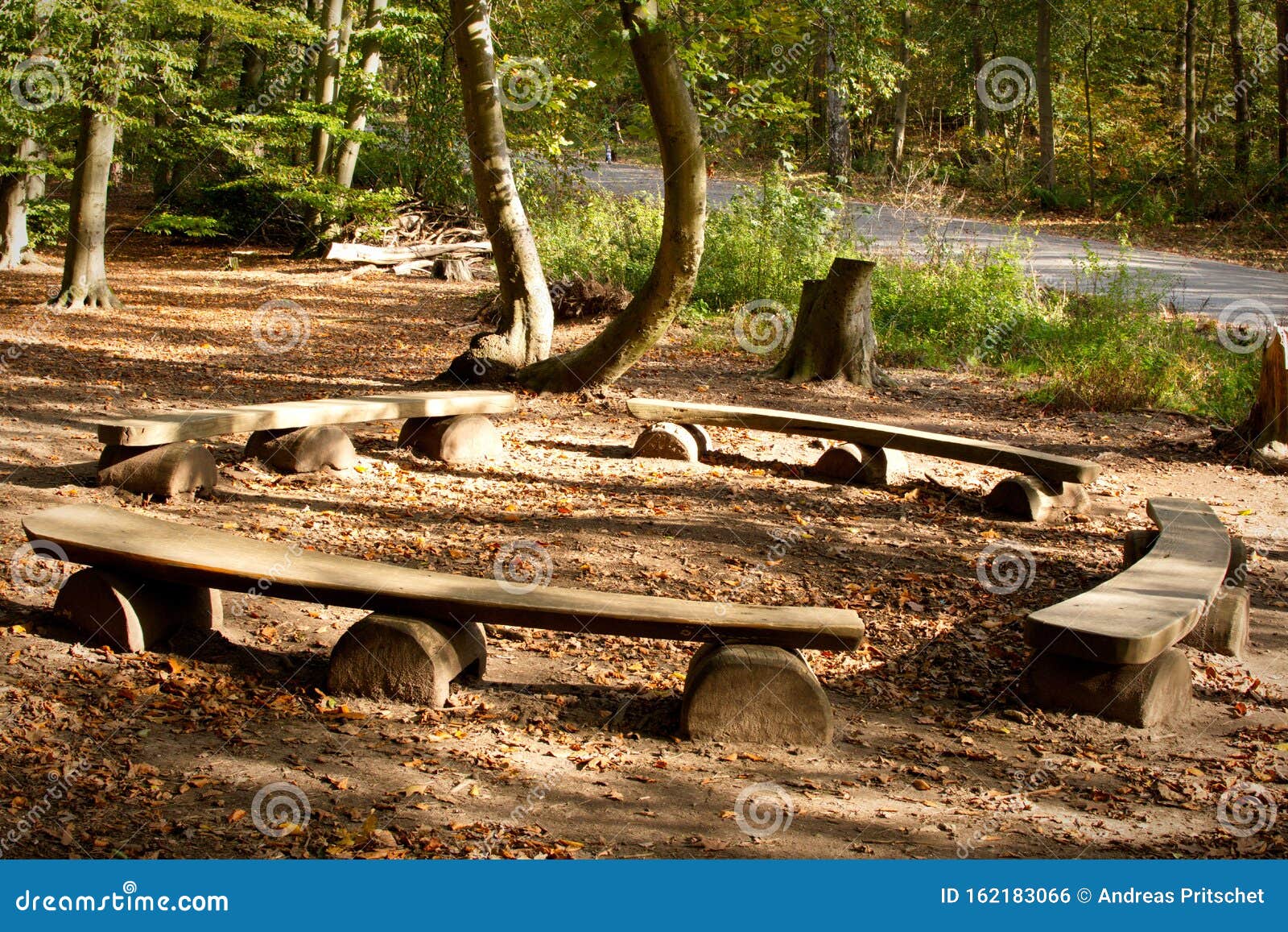 Circle with Wooden Benches in Forest Stock Photo - Image of fall ...