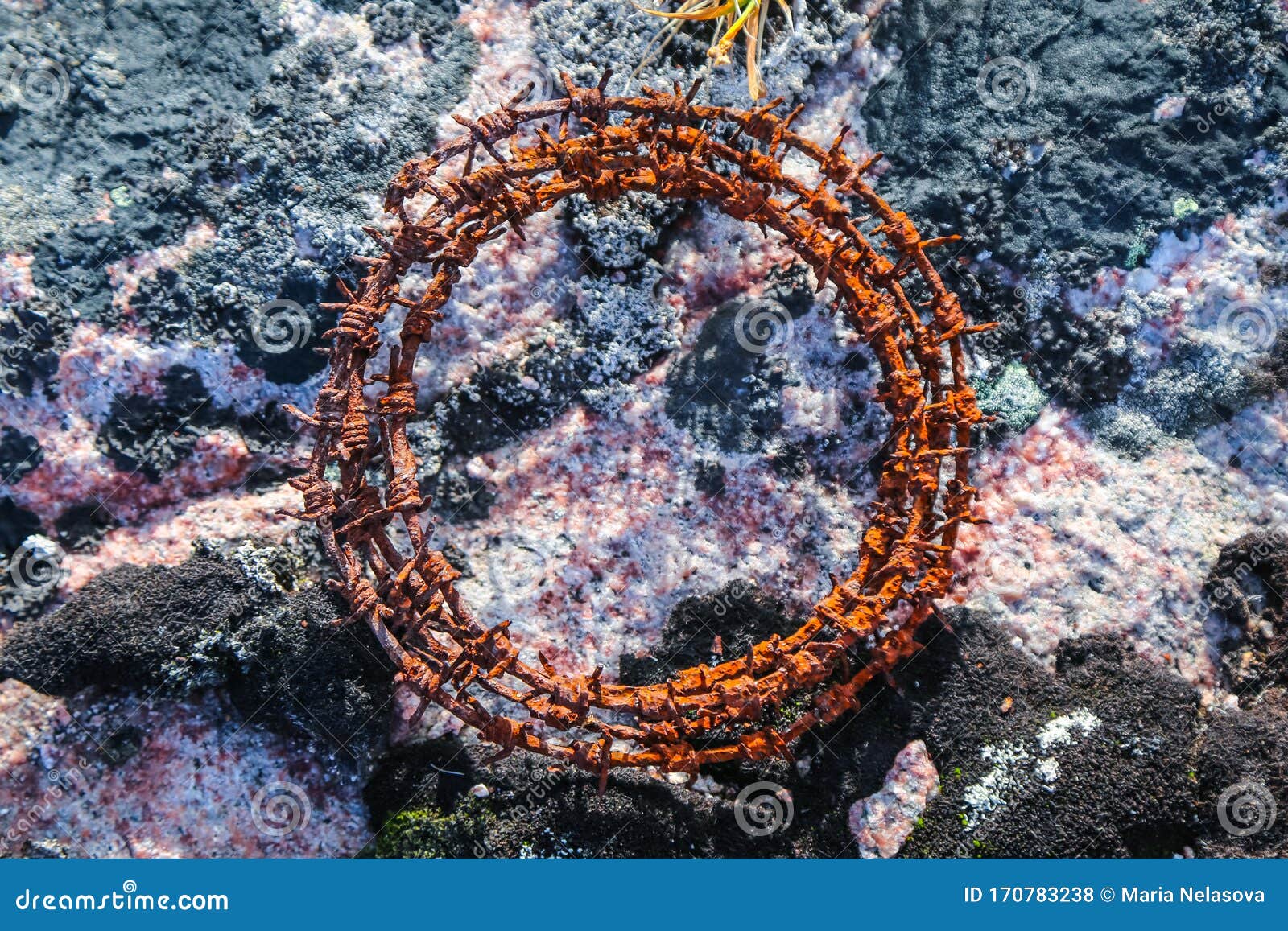 Circles of barbed wire stock photo. Image of wire, crime - 170783238