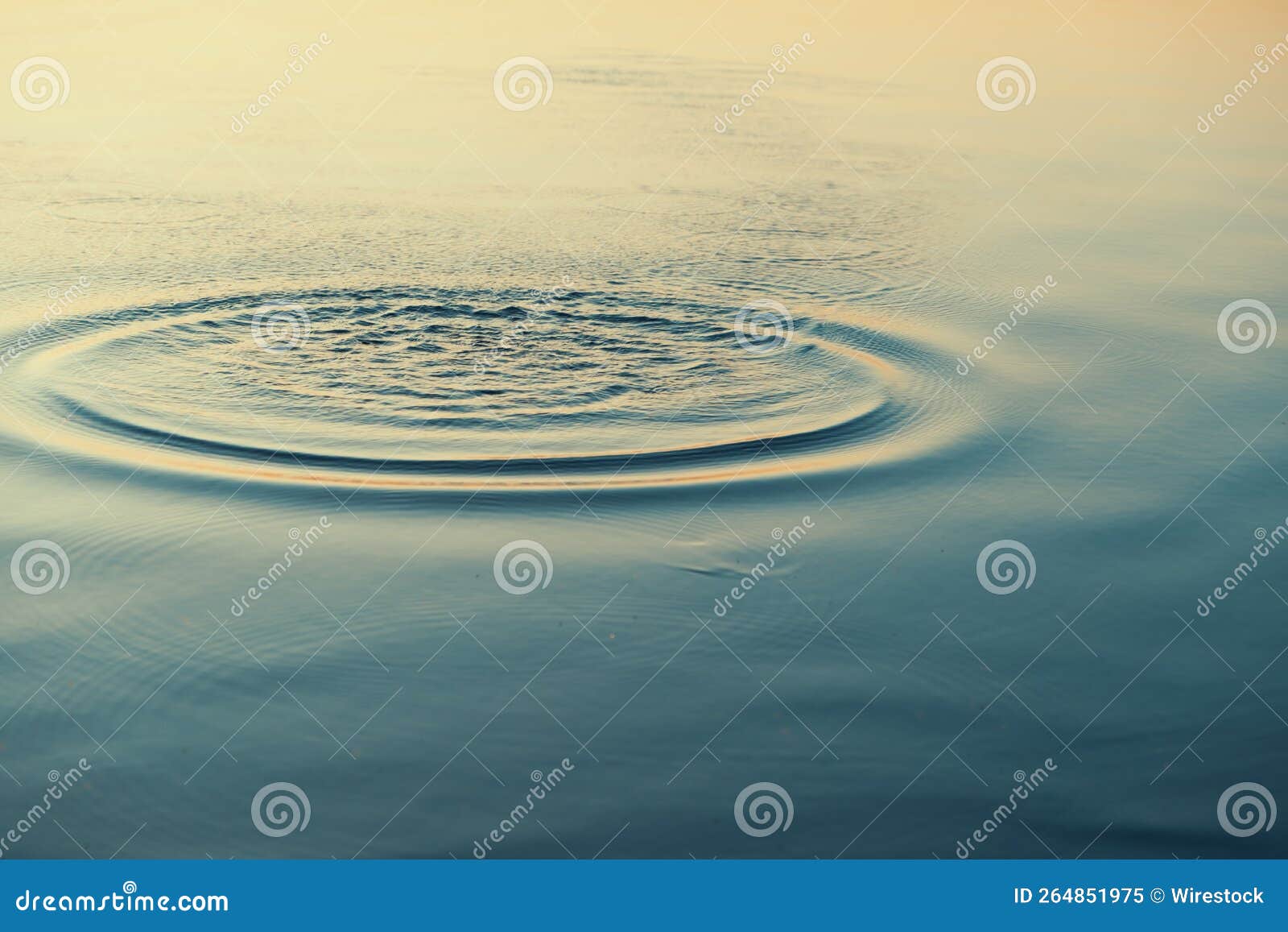 Circles Flow Along Surface of Water with Sunset Light Stock Image ...
