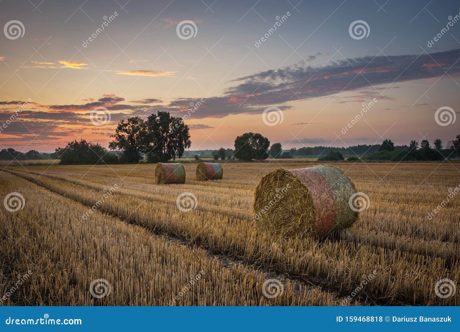 Circles of Hay in the Field after Haymaking Stock Photo - Image of ...