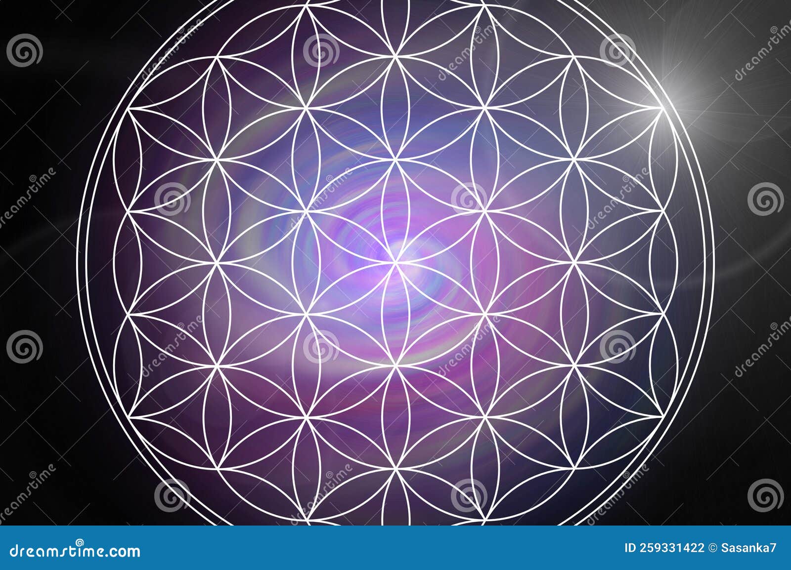 Circles of life stock illustration. Illustration of line - 259331422