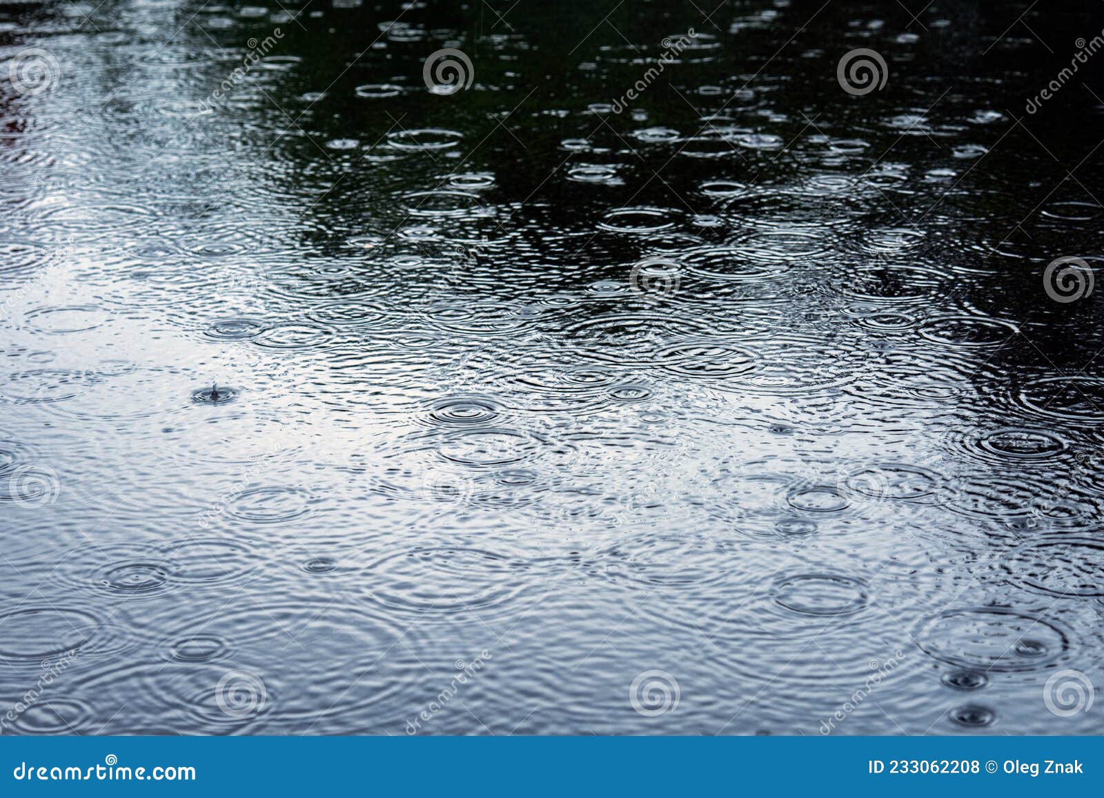 Circles from rain on water stock photo. Image of pond - 233062208