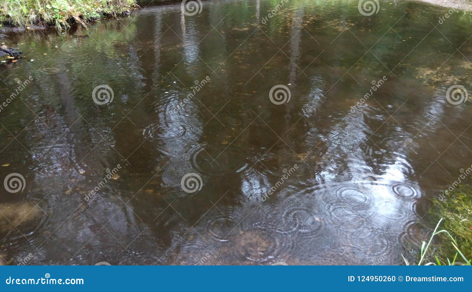 Circles from the Rain on the Water. Stock Photo - Image of raindrop ...