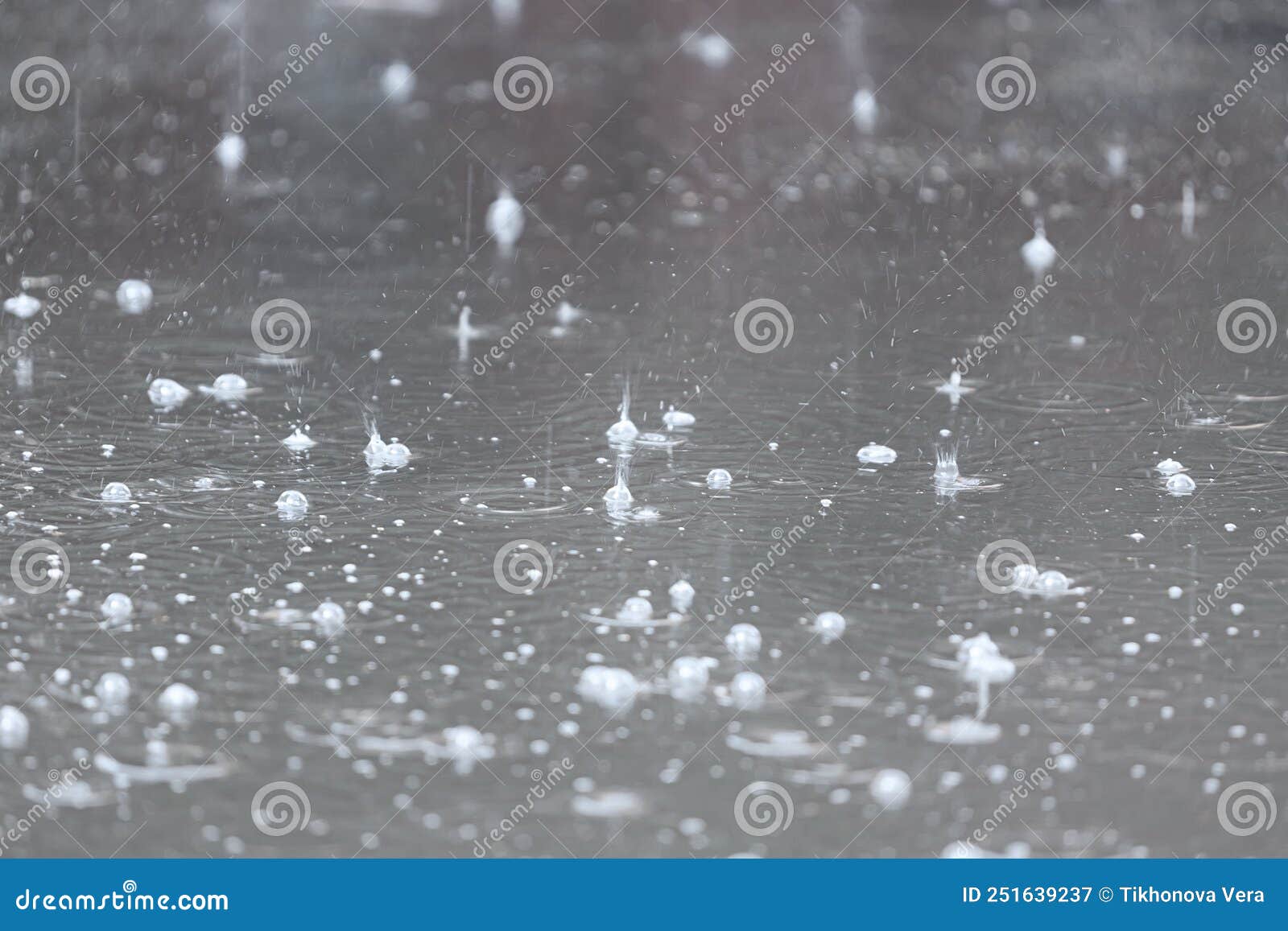 Circles and Raindrops in a Puddle Stock Image - Image of rain, melted: 251639237