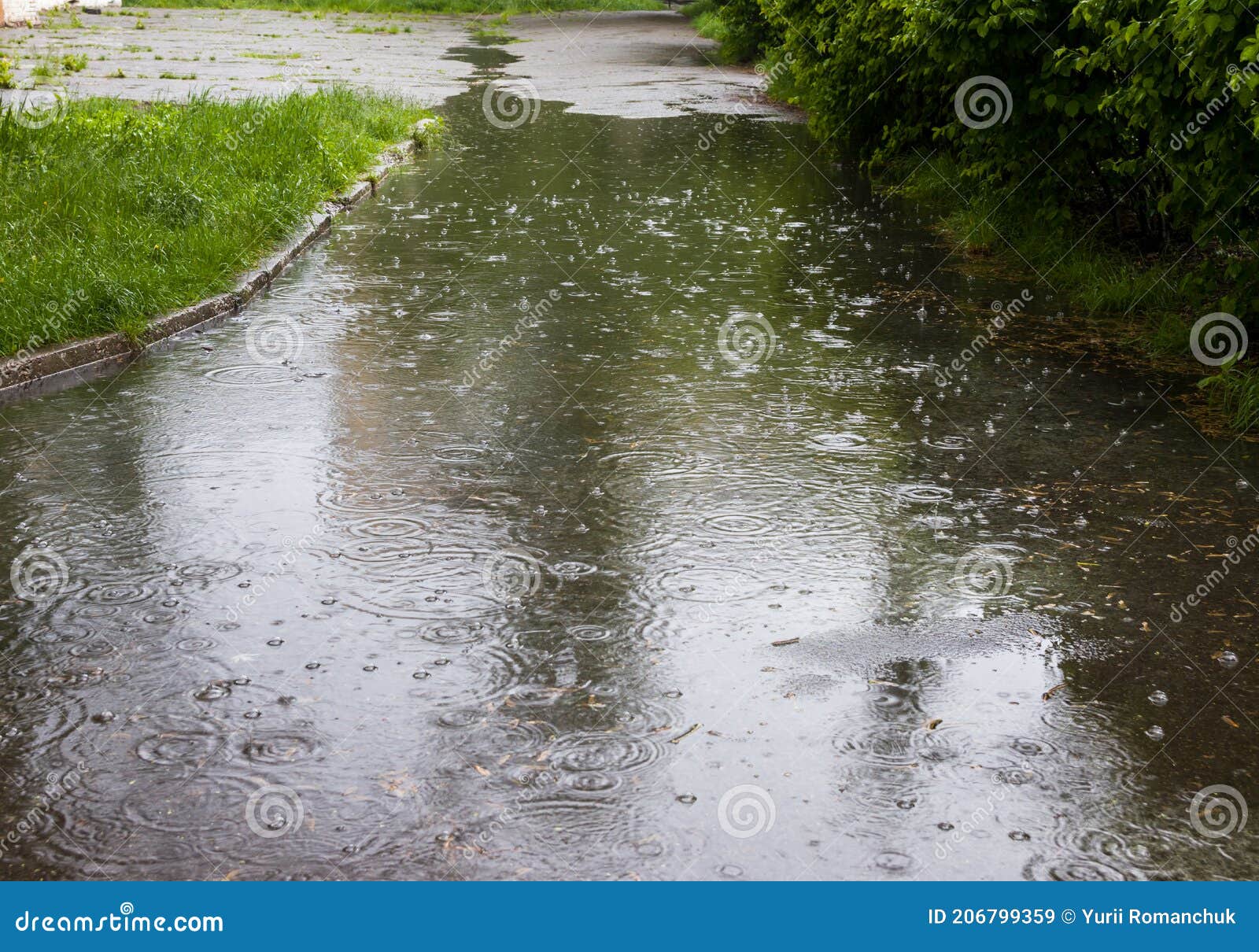 Circles from Spring Rain in a Puddle. Rain in the Spring Draws Circles ...