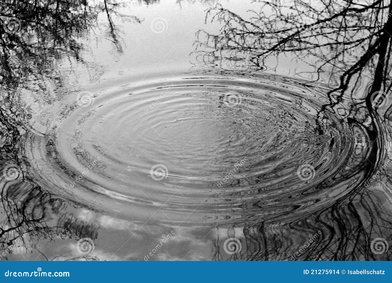 Circles of water stock photo. Image of peaceful, reflections - 21275914