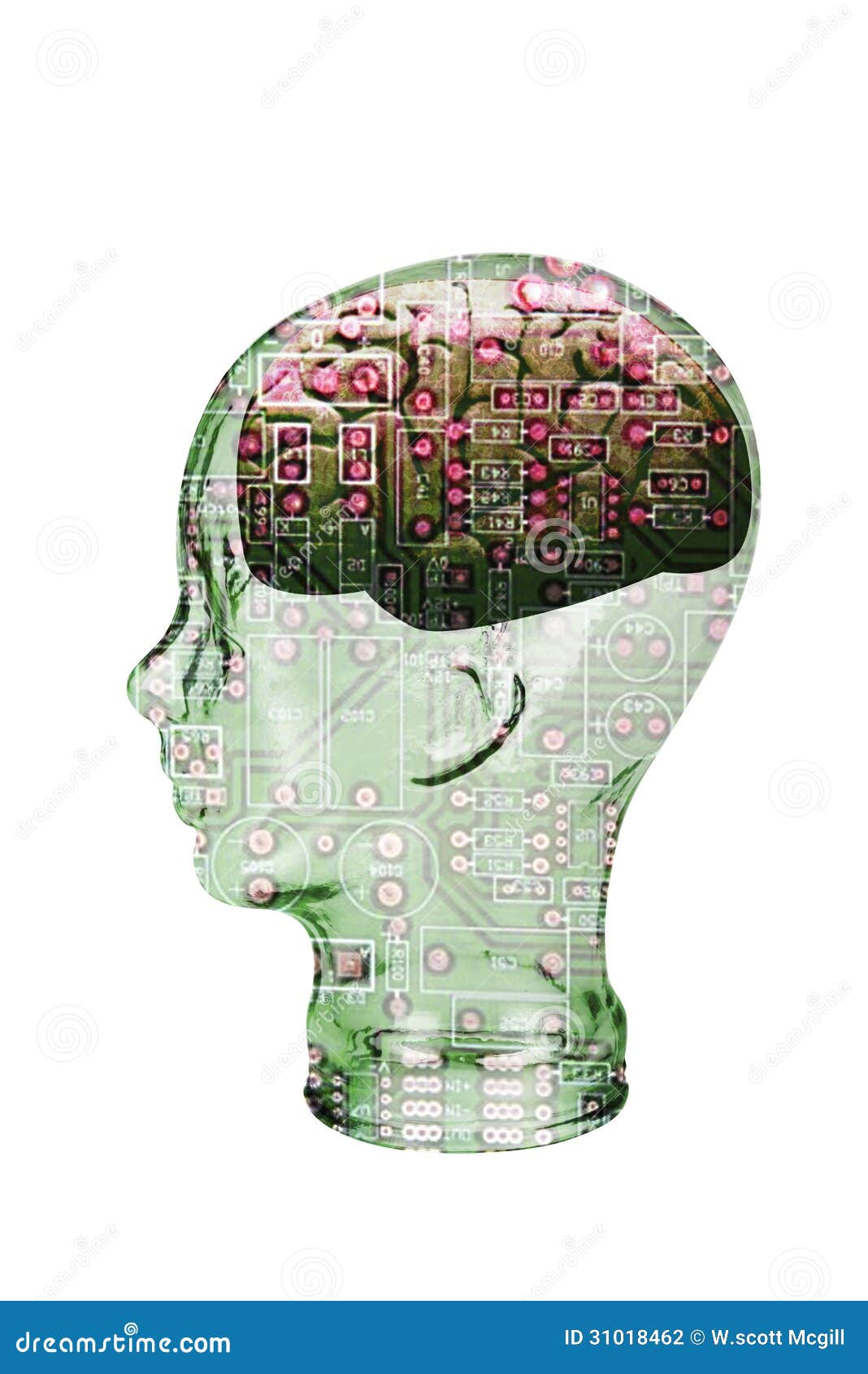 Circuit board human brain stock photo. Image of human - 31018462