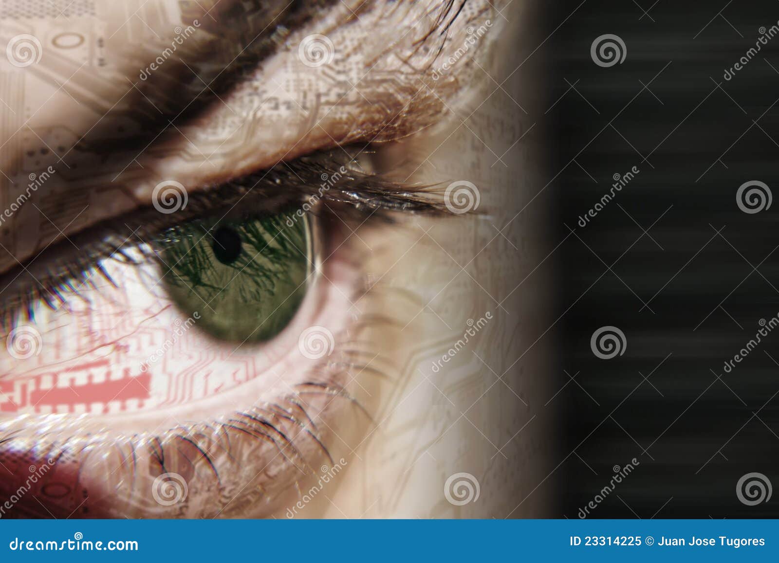 Circuit eye stock image. Image of eyelid, circuit, computer - 23314225