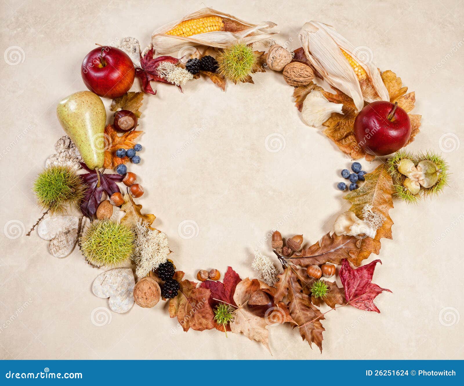 Circular Autumn border stock photo. Image of berry, frame - 26251624