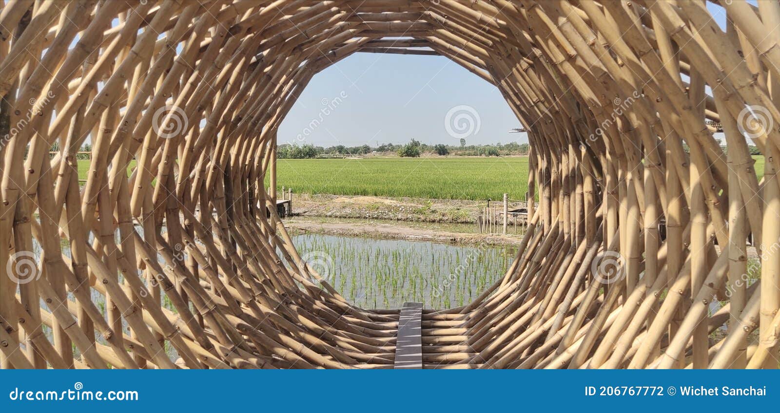 Circular Bamboo Arch in the Field Stock Photo - Image of symmetry ...