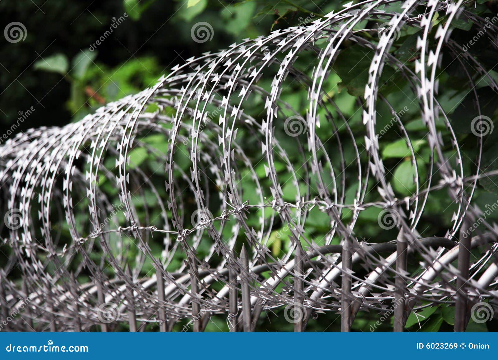 Circular barbed wire stock image. Image of freedom, risk - 6023269