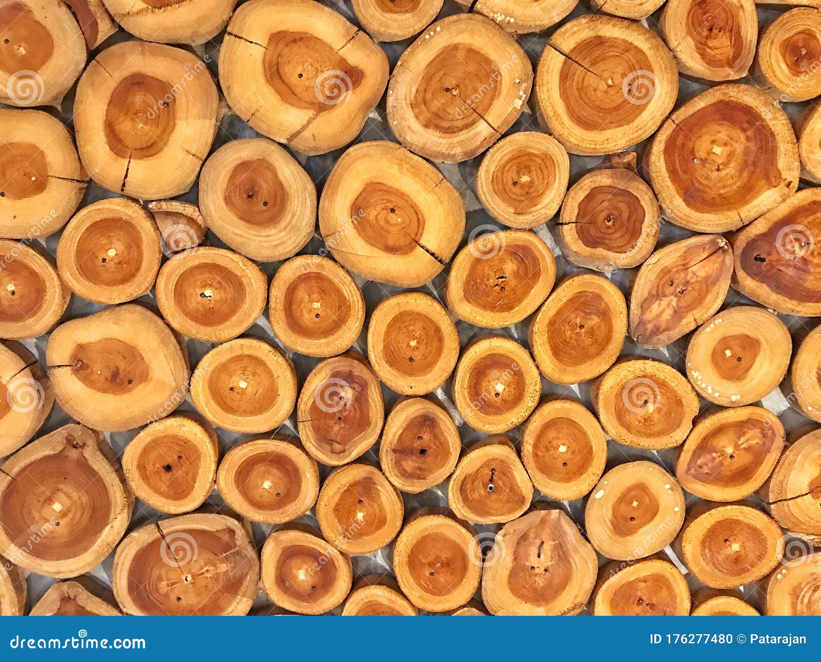 Circular Bark Wood Timber Logs Stack Decorating On Cement Wall ...