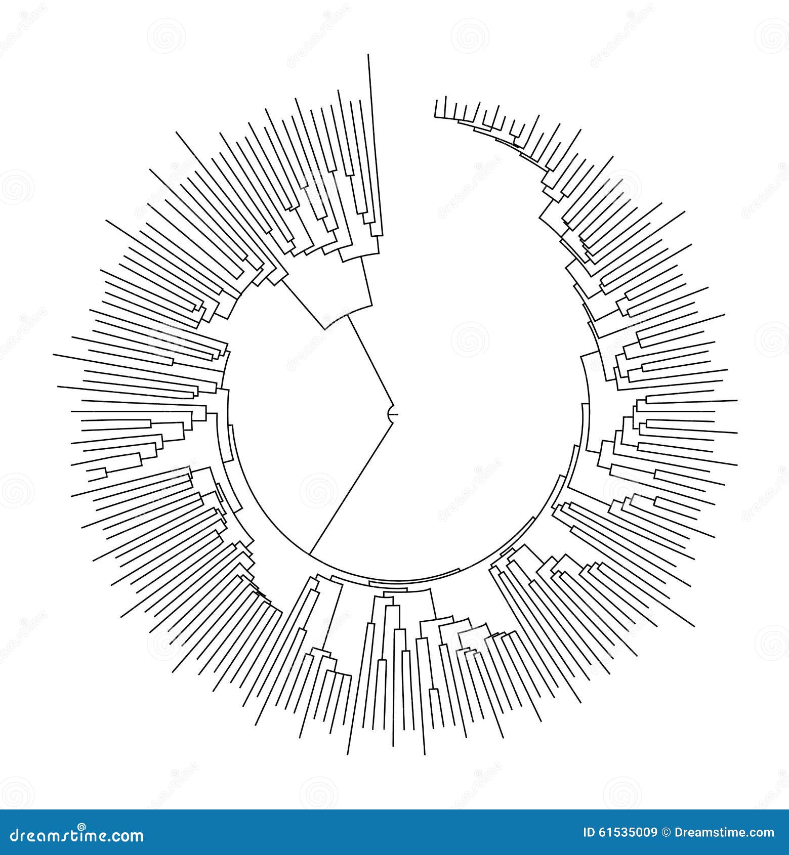 Circular Classification or Network Stock Vector - Illustration of ...