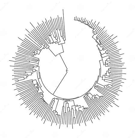 Circular Classification or Network Stock Vector - Illustration of ...