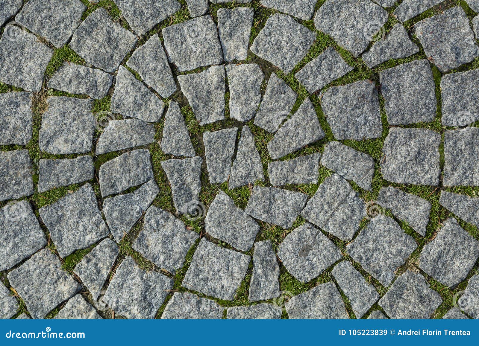 Round Cobblestone Texture Seamless