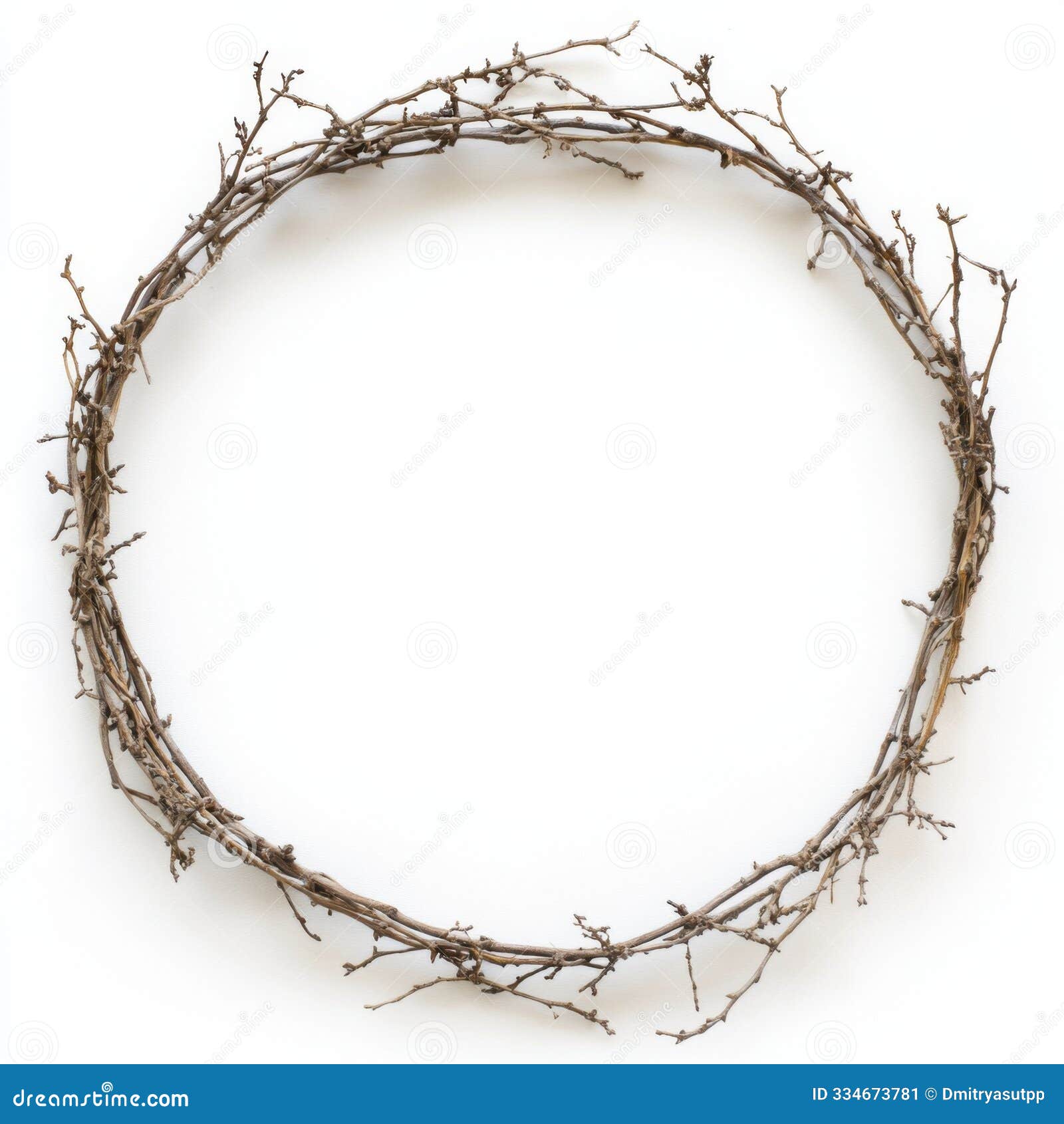 Circular Crown of Thorn Branches with Natural Texture on White ...