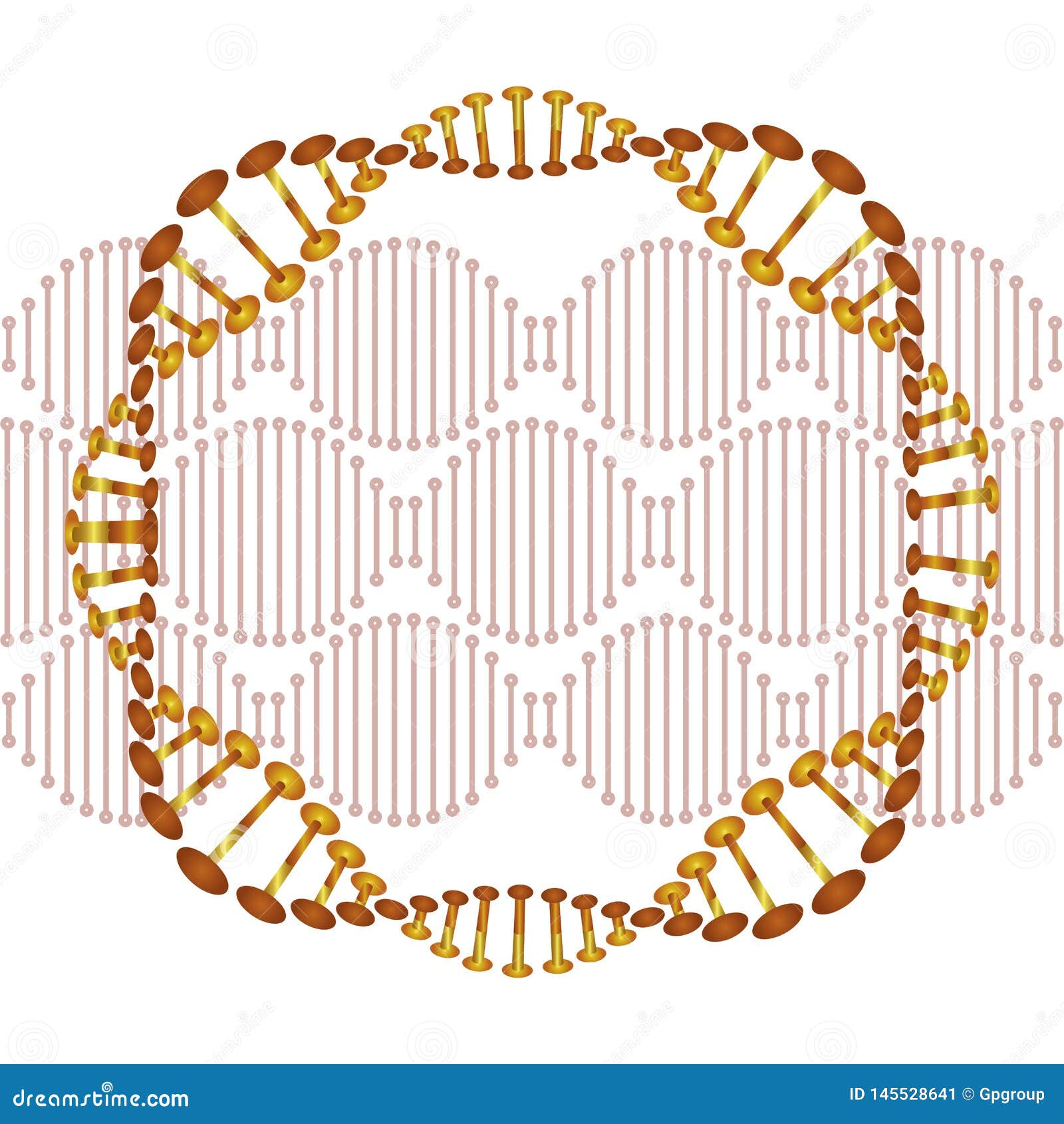 Circular Dna Chain Science Icon Stock Vector - Illustration of gene ...