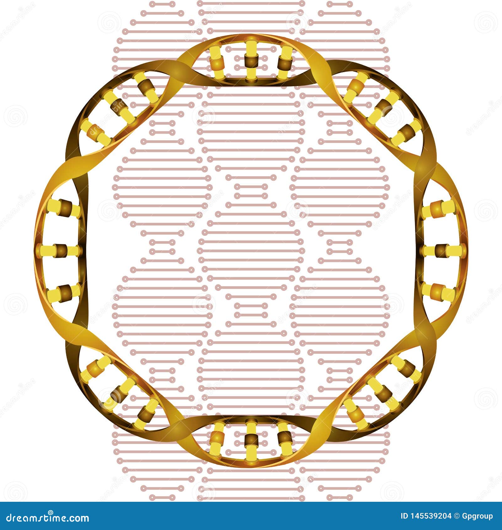 Circular Dna Chain Science Icon Stock Vector - Illustration of heredity ...