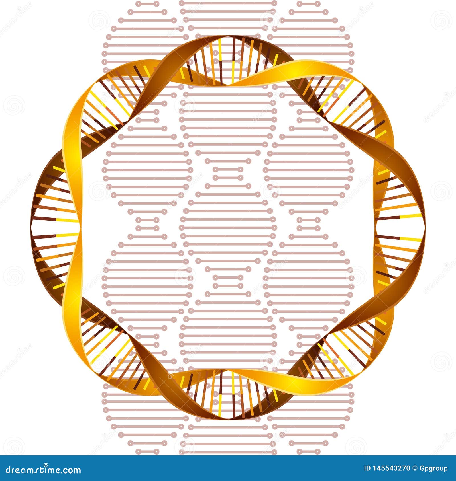 Circular Dna Chain Science Icon Stock Vector - Illustration of ...