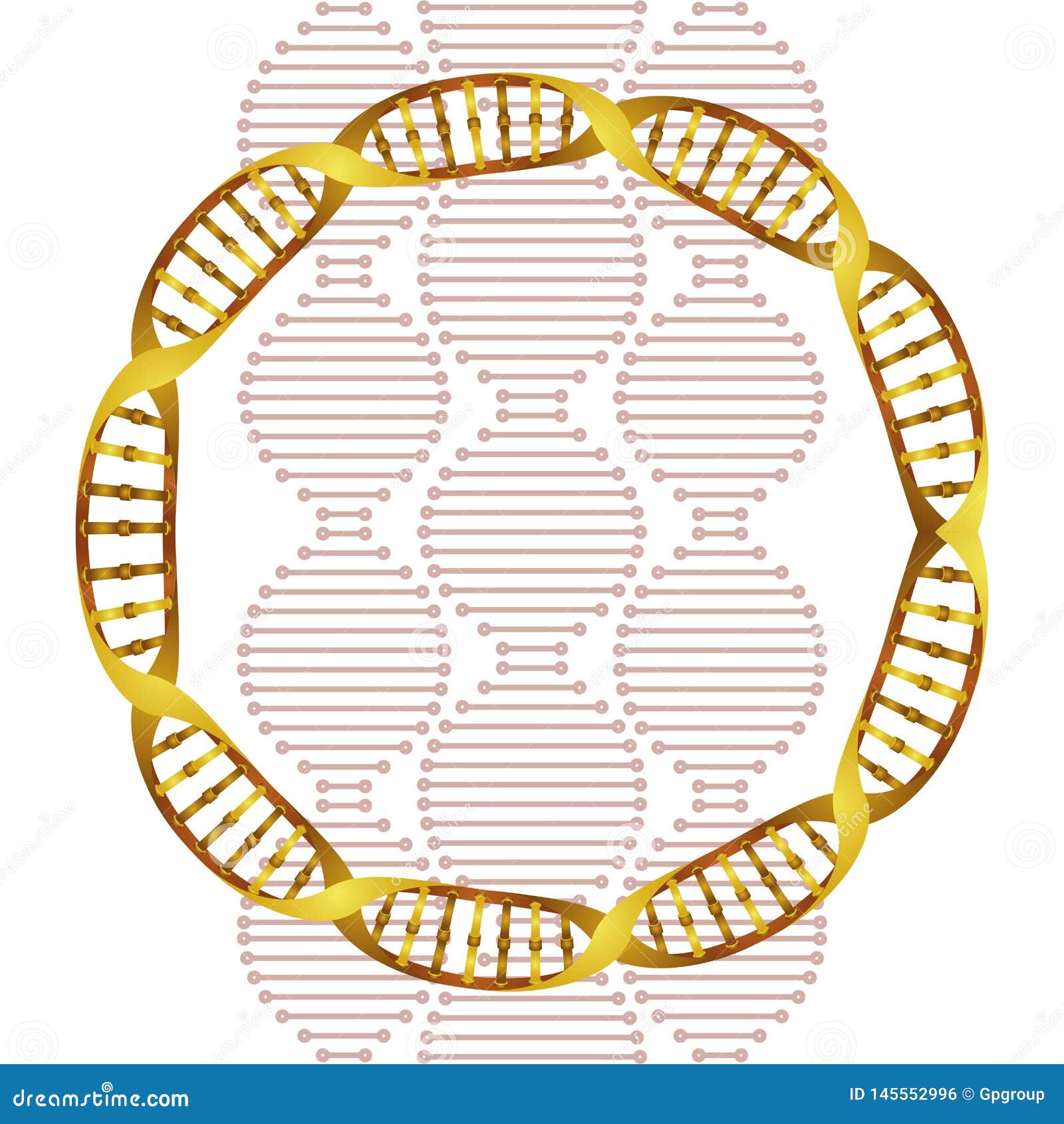 Circular Dna Chain Science Icon Stock Vector - Illustration of atom ...