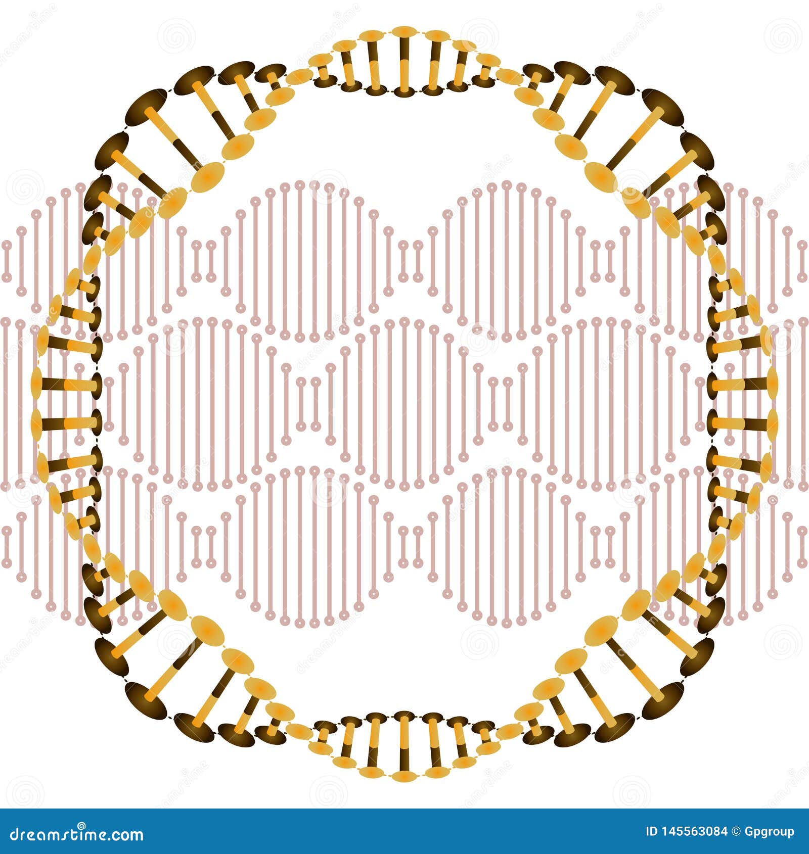 Circular Dna Chain Science Icon Stock Vector - Illustration of healthy ...