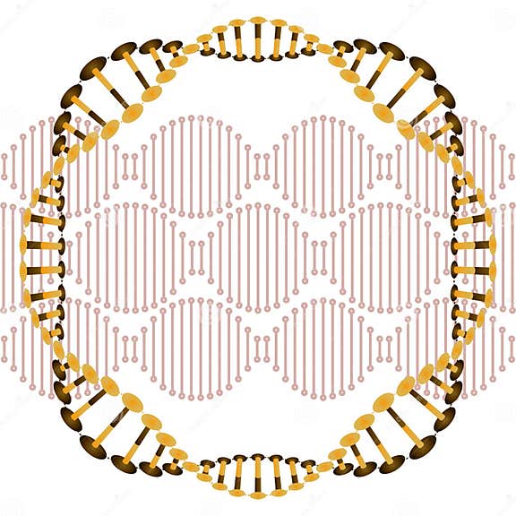 Circular Dna Chain Science Icon Stock Vector - Illustration of healthy ...