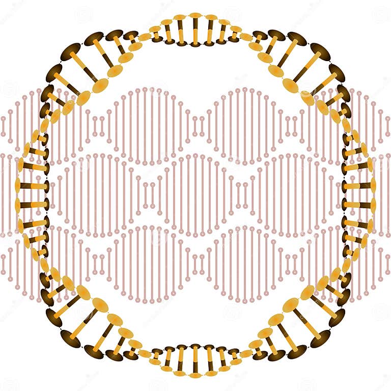 Circular Dna Chain Science Icon Stock Vector - Illustration of healthy ...