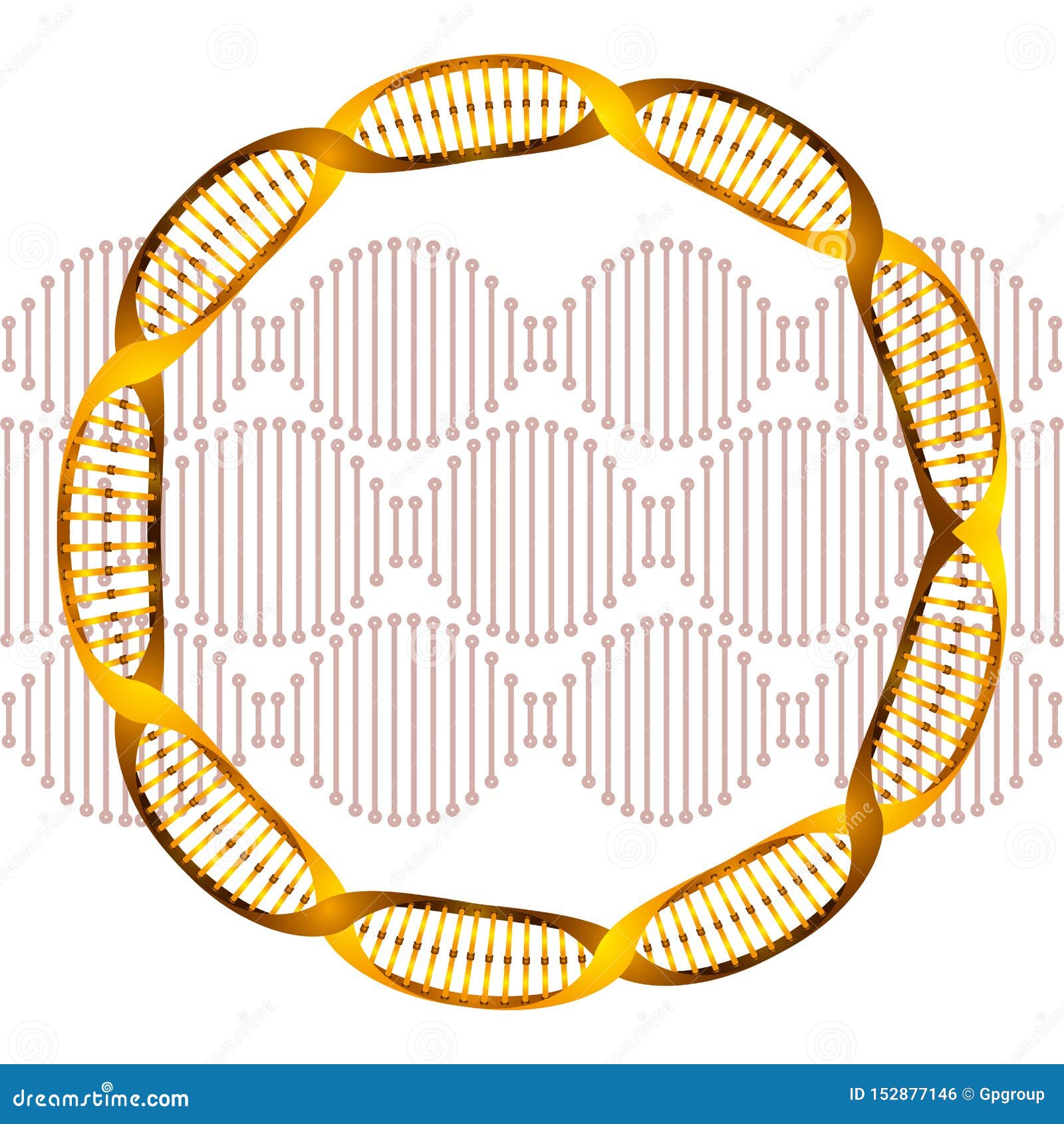 Circular Dna Chain Science Icon Stock Vector - Illustration of icon ...