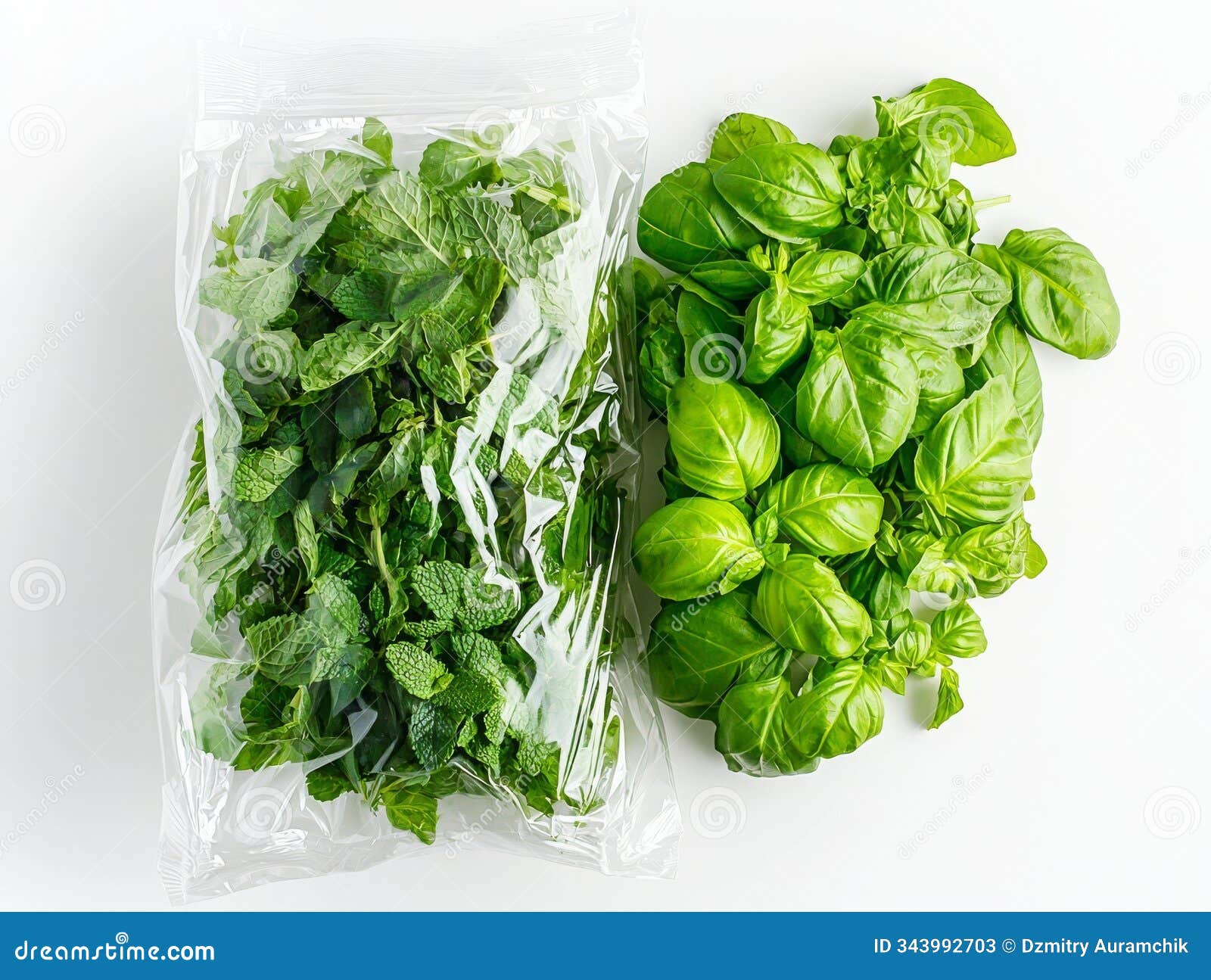 In the Circular Economy, Bioplastics Replace Conventional Plastics in ...