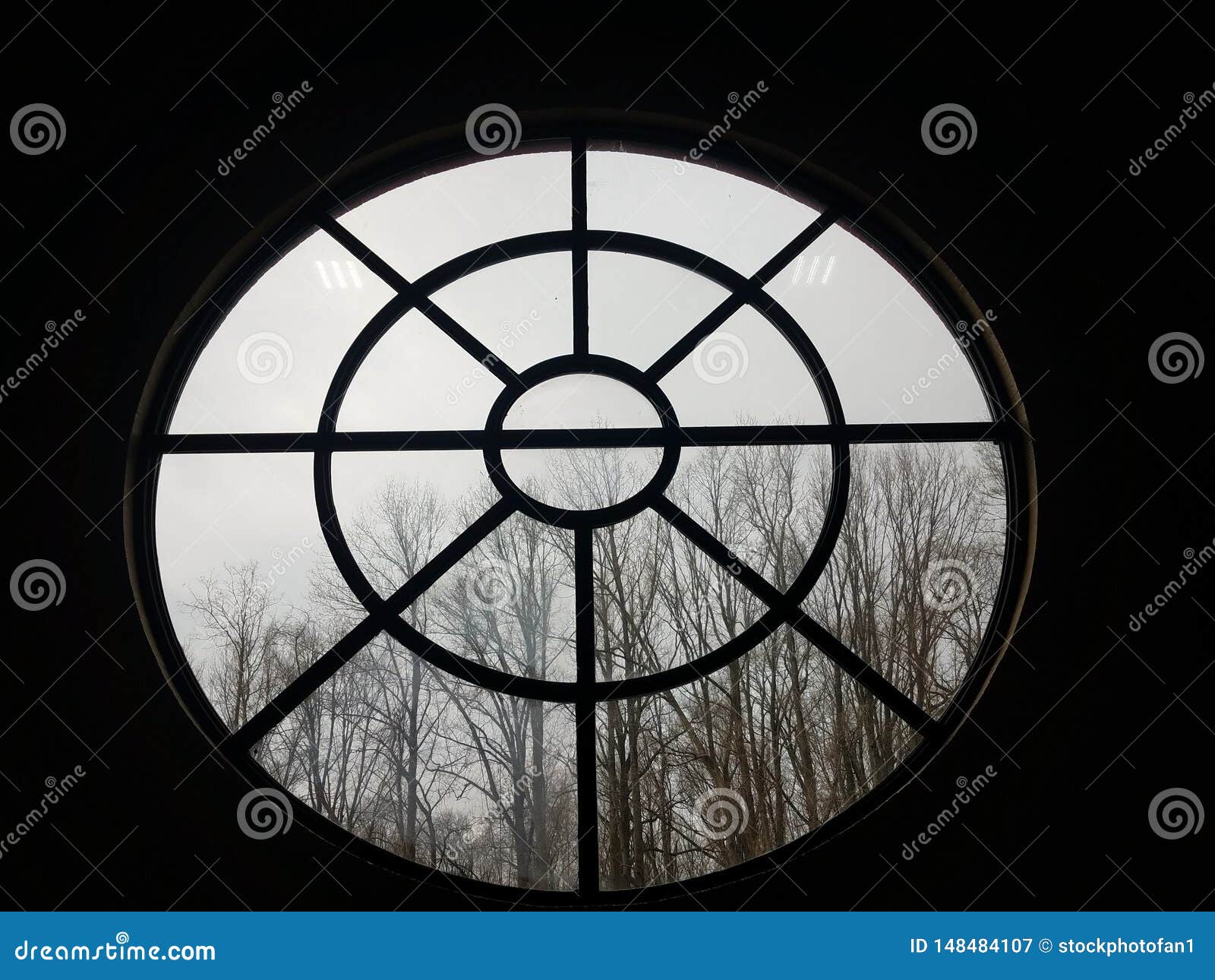 Circular Glass Window with Trees and Branches Stock Image - Image of ...