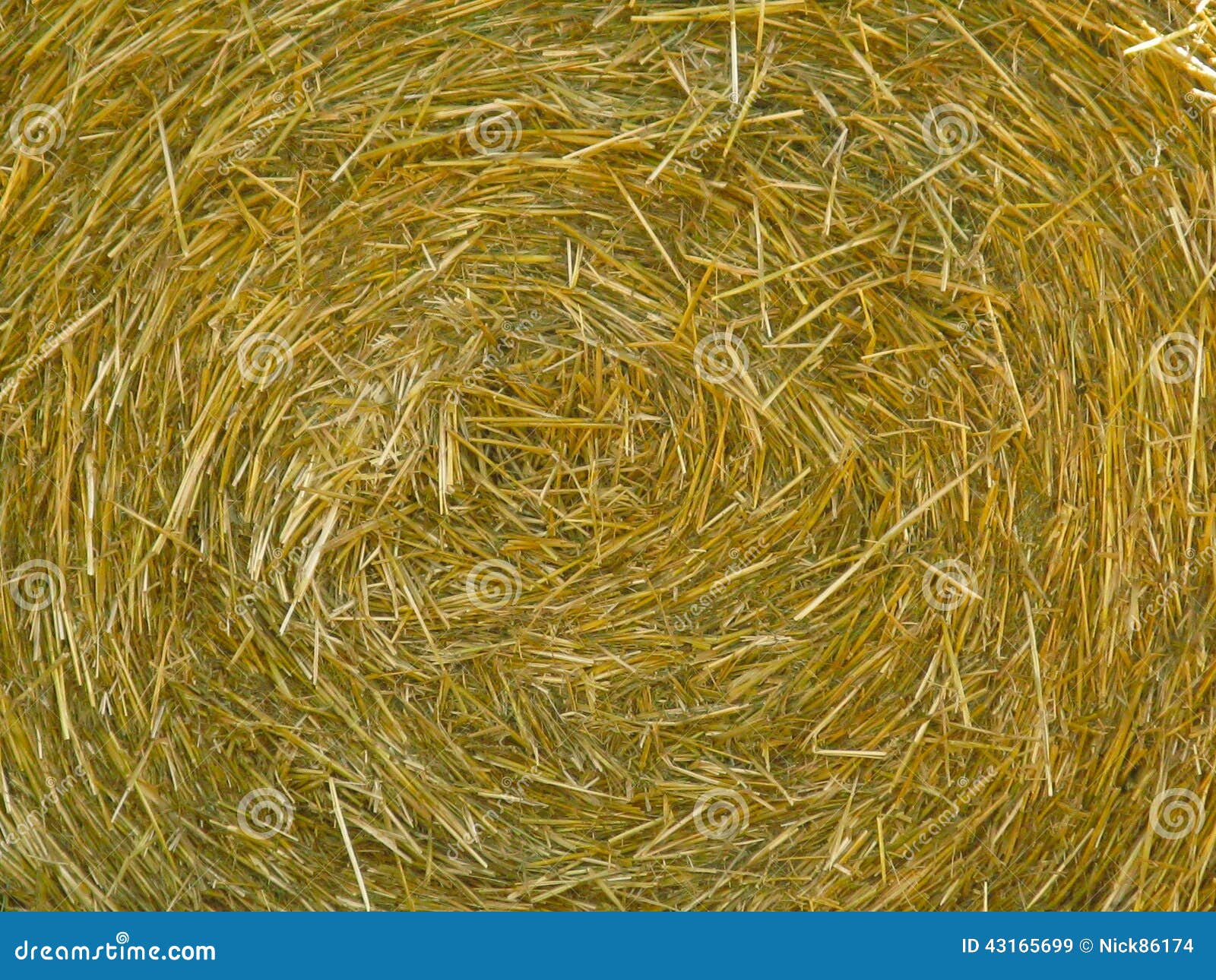 Circular hay bale side on stock image. Image of helix - 43165699