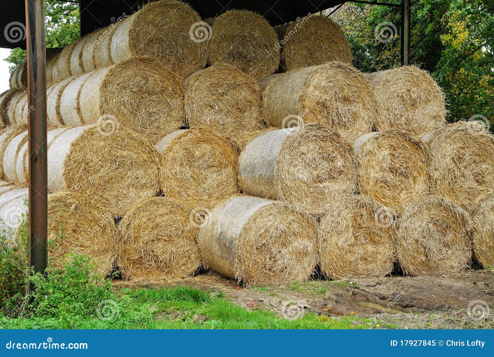 Circular Hay Bales in a Barn Stock Image - Image of tiers, circles ...