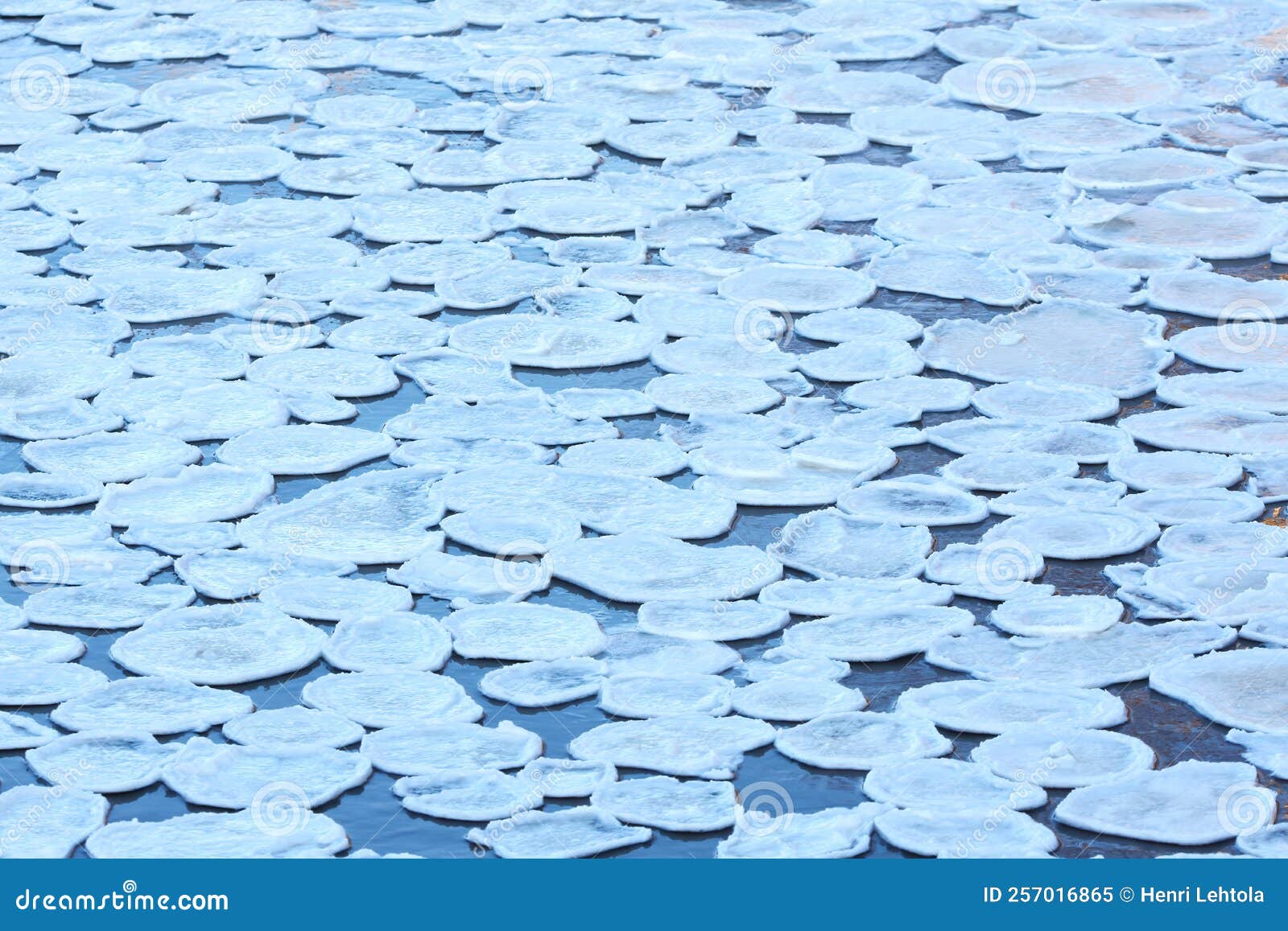 Circular Ice Floes Floating in the Water. Stock Image - Image of ...