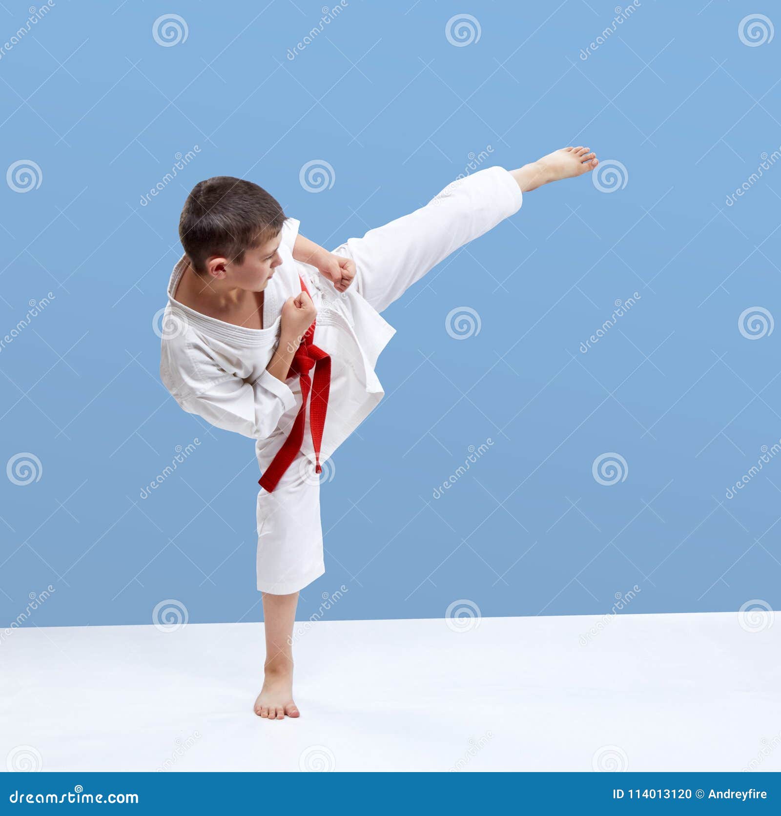 Circular Kick Leg in Karate Athlete Performance Stock Photo - Image of ...