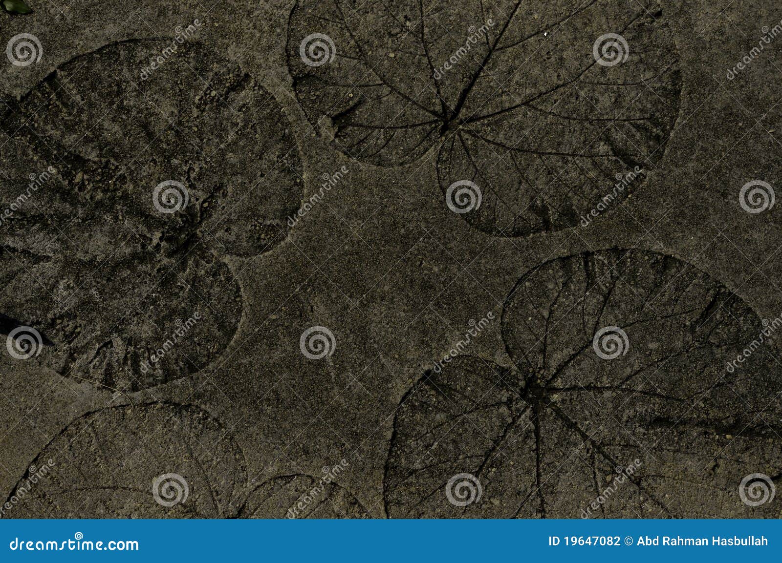 Circular Leaf Emboss stock photo. Image of nature, emboss - 19647082