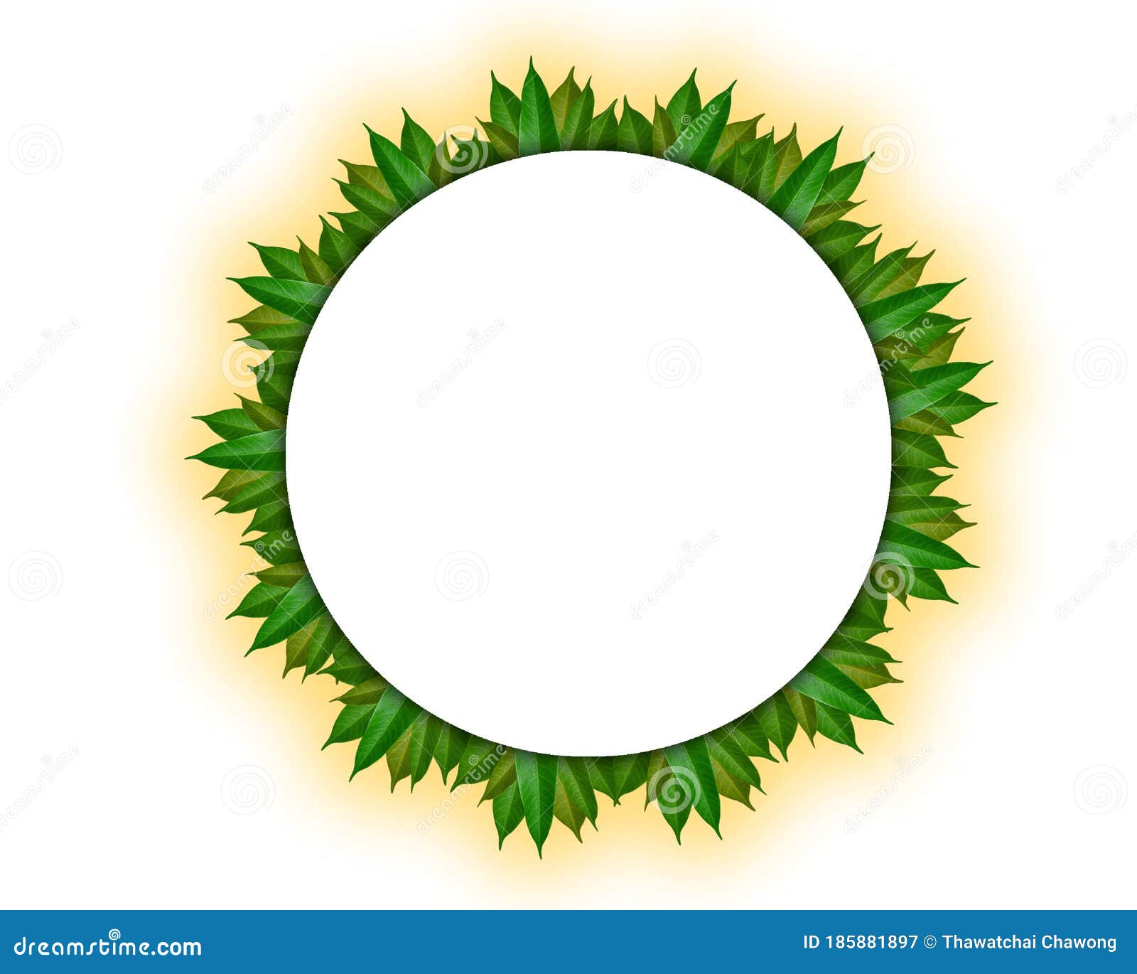 Circular Leaf Frame Made from Green Mango Leaves Isolated from White ...
