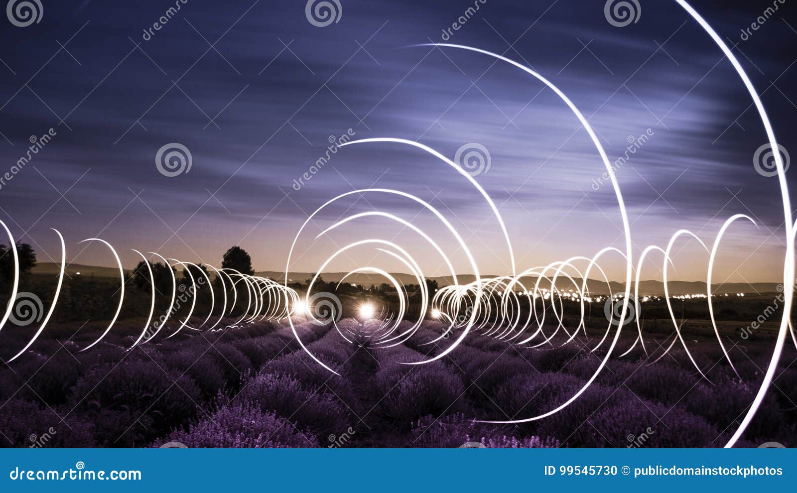 Circular Light Trails In A Lavender Field Picture. Image: 99545730