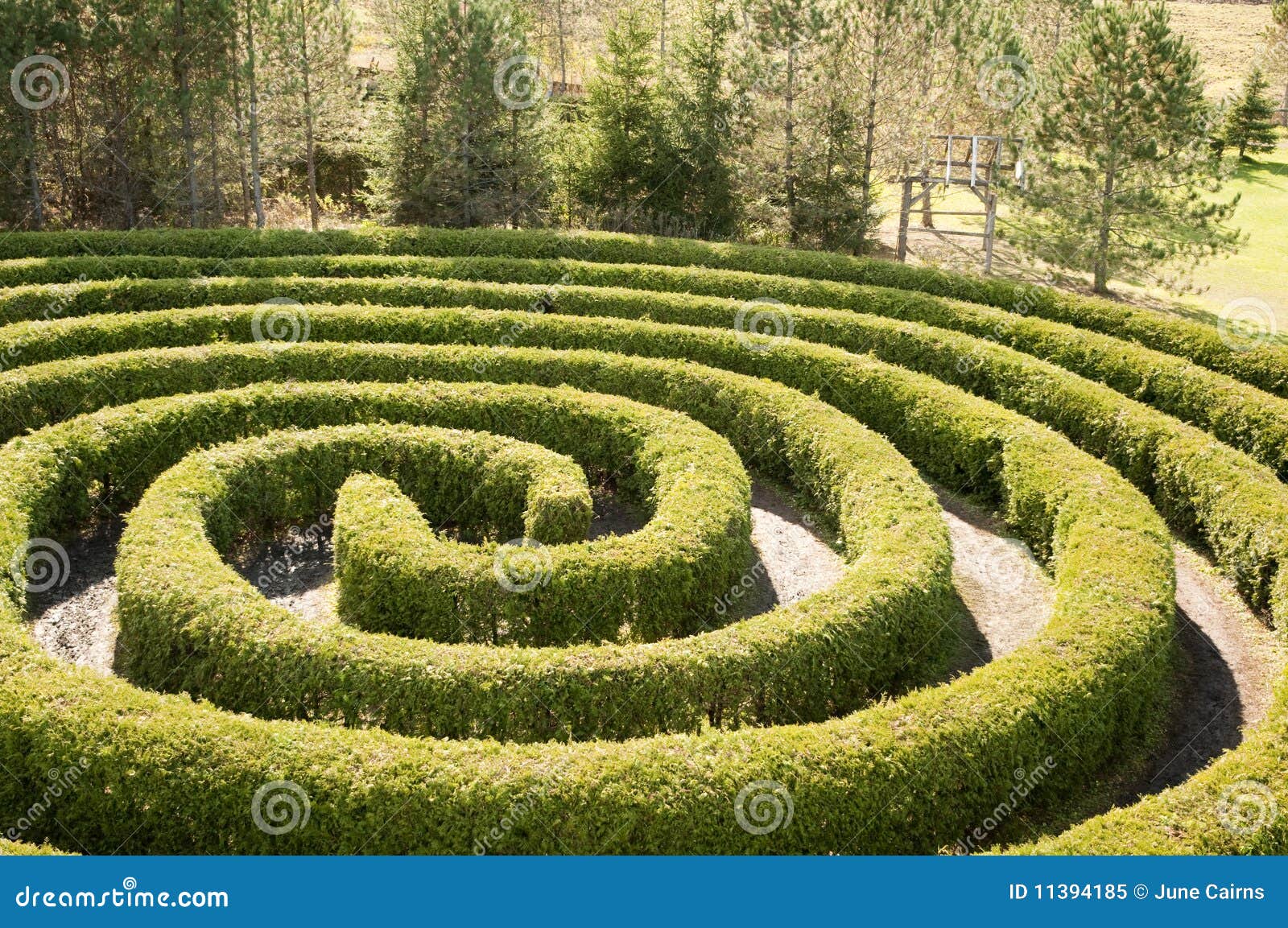 Circular maze stock image. Image of path, shadows, fall - 11394185