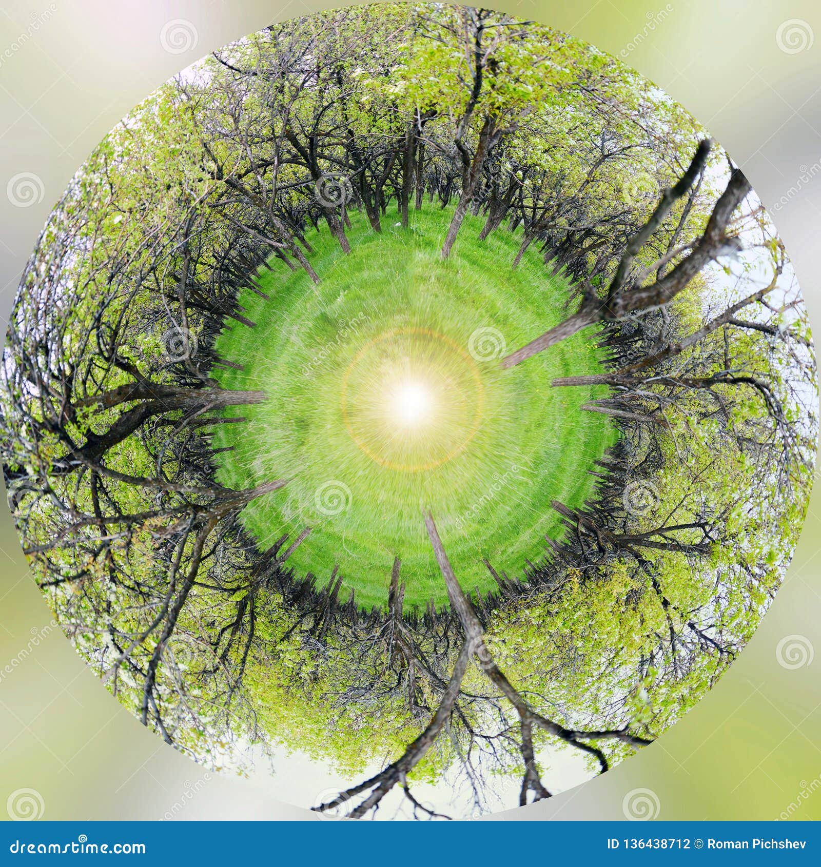 Circular Panorama of the Garden of Fruit Trees Stock Photo - Image of ...