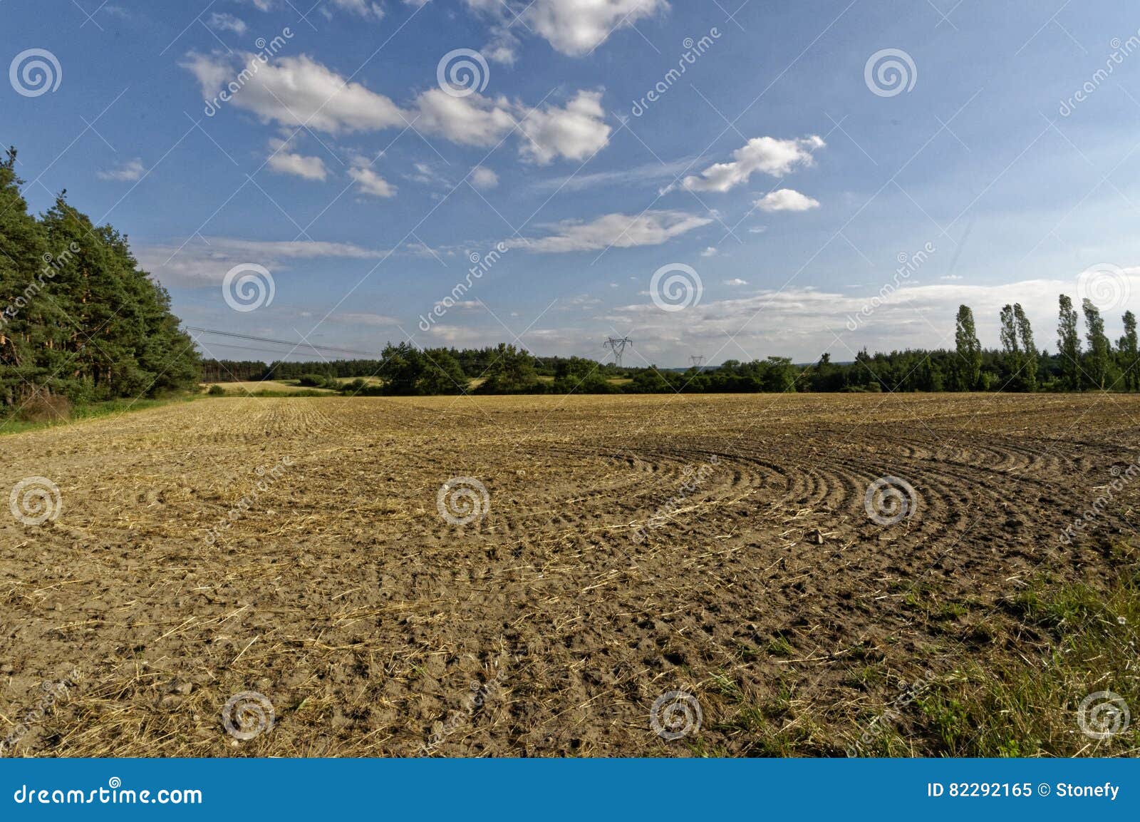 Circular Pattern Developed on a Sandy Surface Stock Image - Image of ...