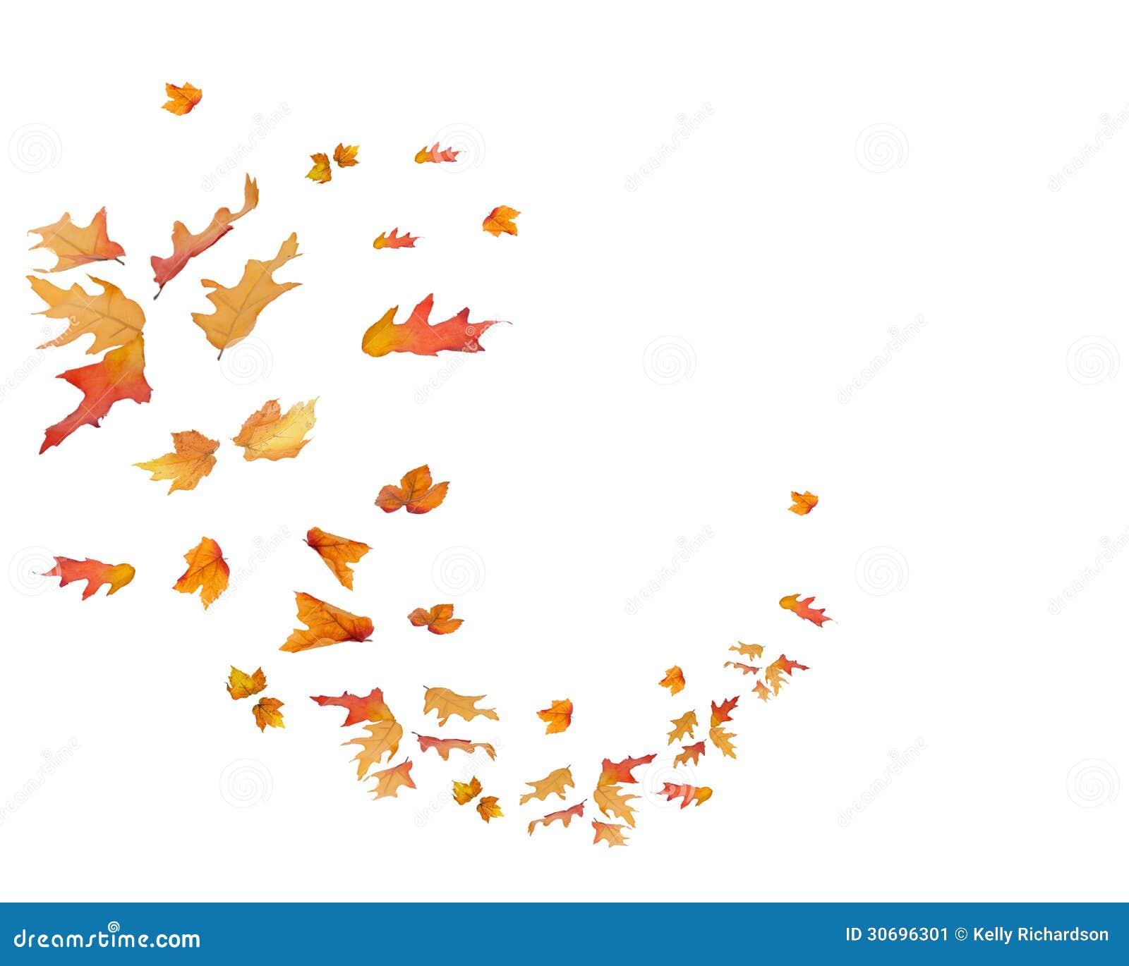 Circular Pattern of Fall Leaves Isolated Stock Image - Image of orange ...