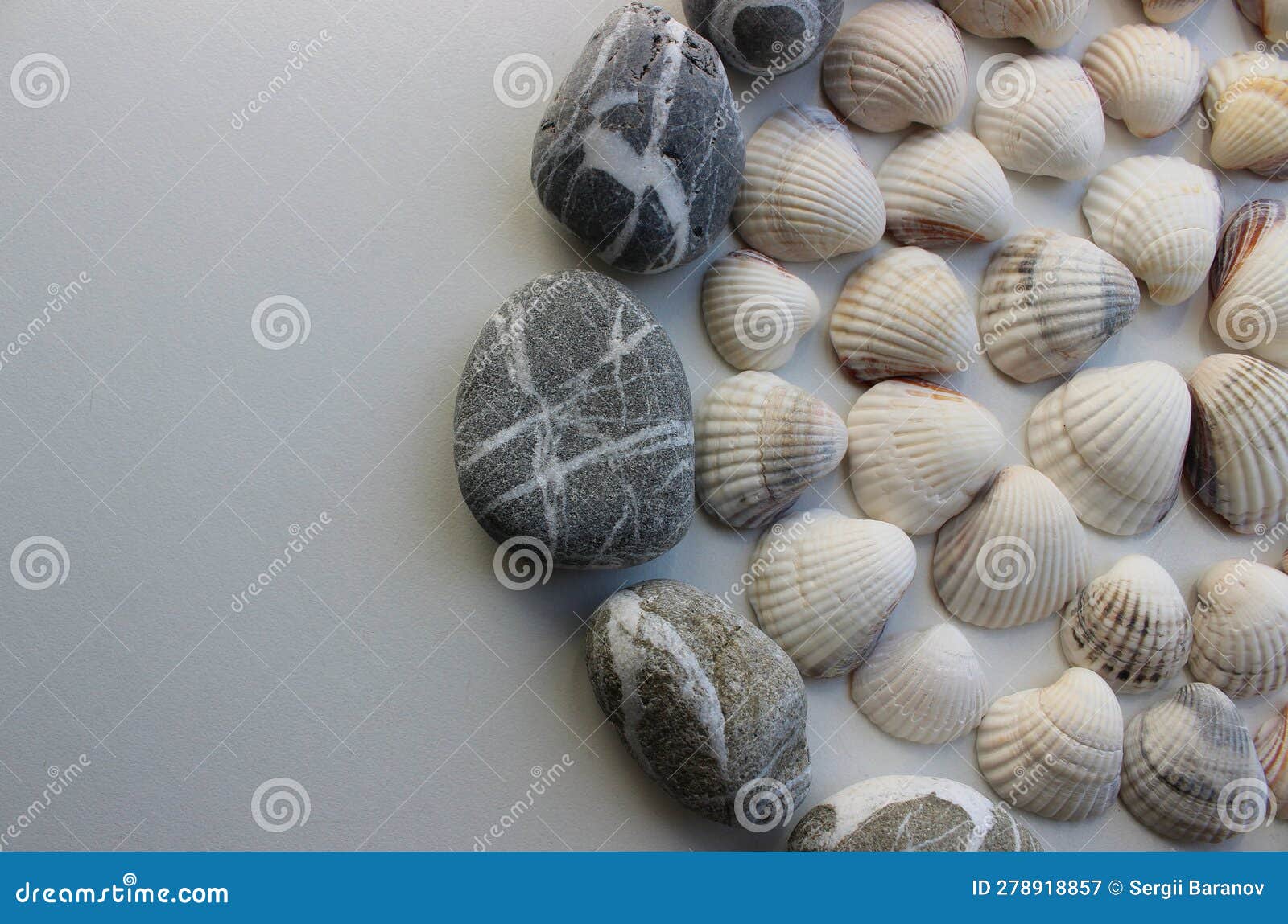 Concept for Logotype or Titles with Round Pattern of Sea Shells and ...