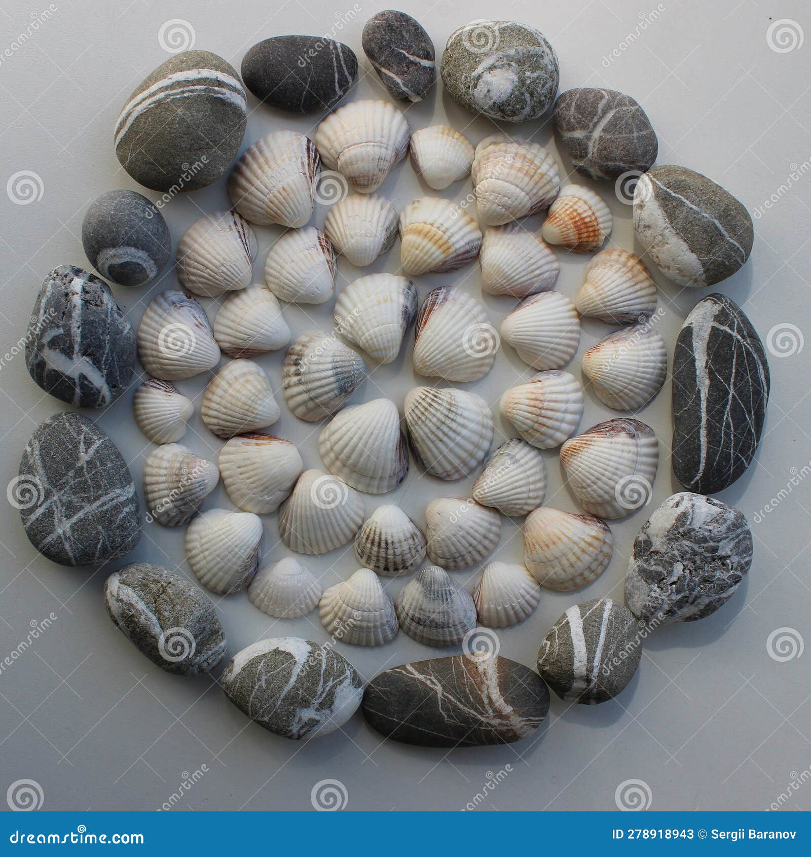 Circular Pattern of Lined Shells Inside a Ring of Sea Stones Square ...