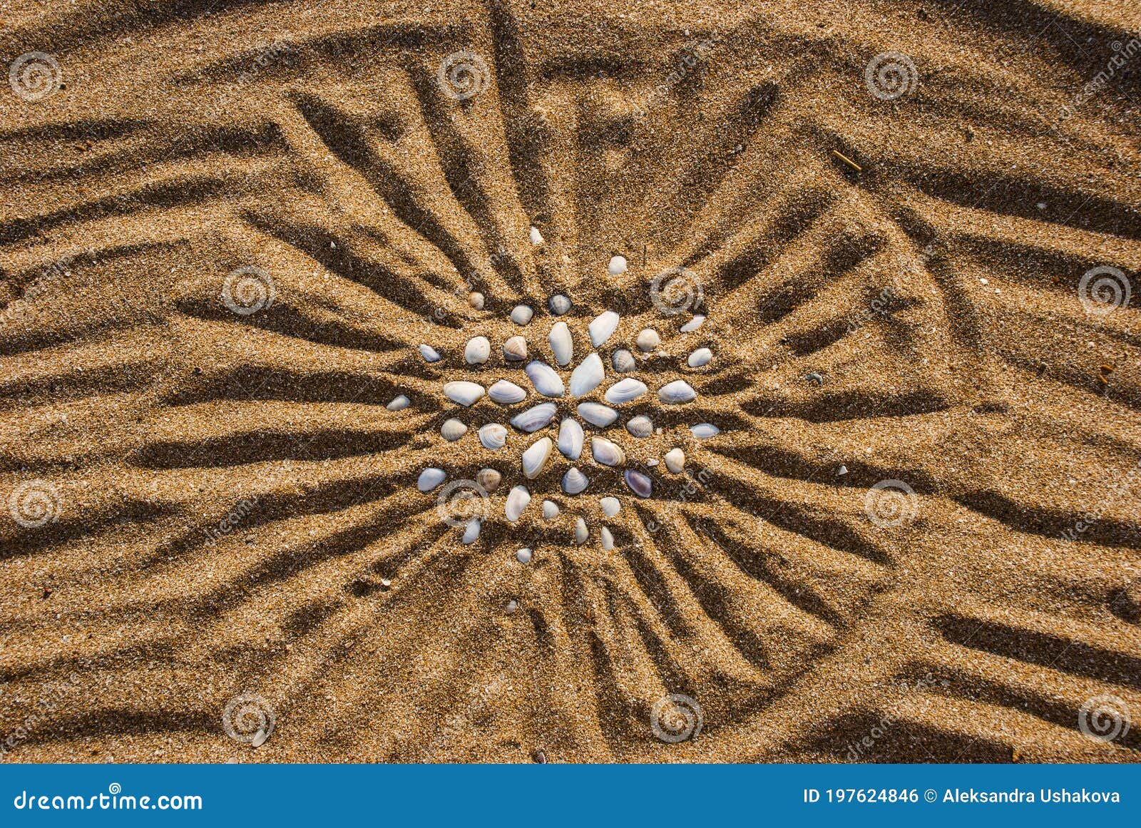 Circular Pattern on Sand with Shells Stock Photo - Image of amasing ...