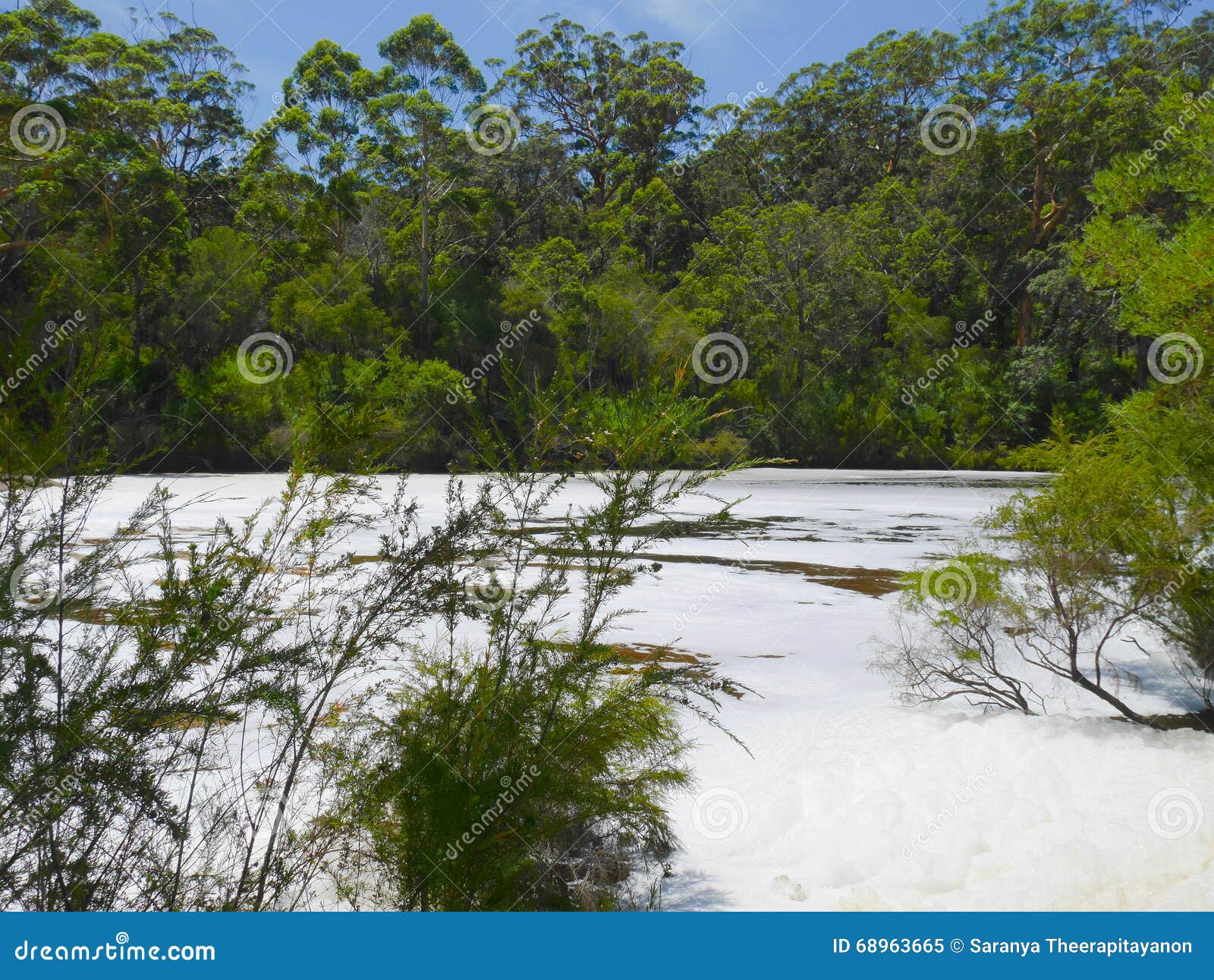 Circular Pool Near Walpole In Western Australia Creating A Foam Because ...