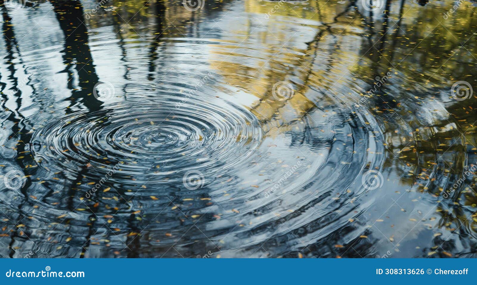 Circular Ripples on the Surface of the Water from Falling Droplets ...