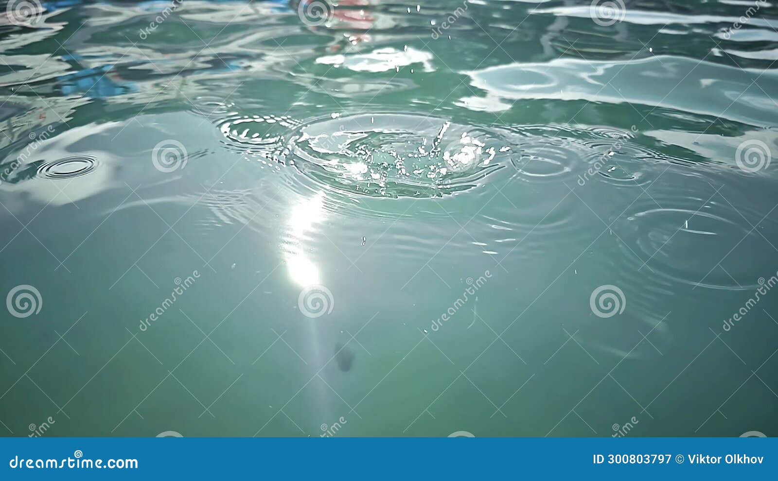 Circular Ripples on a Water Surface. Concentric Ripples Spread on a ...