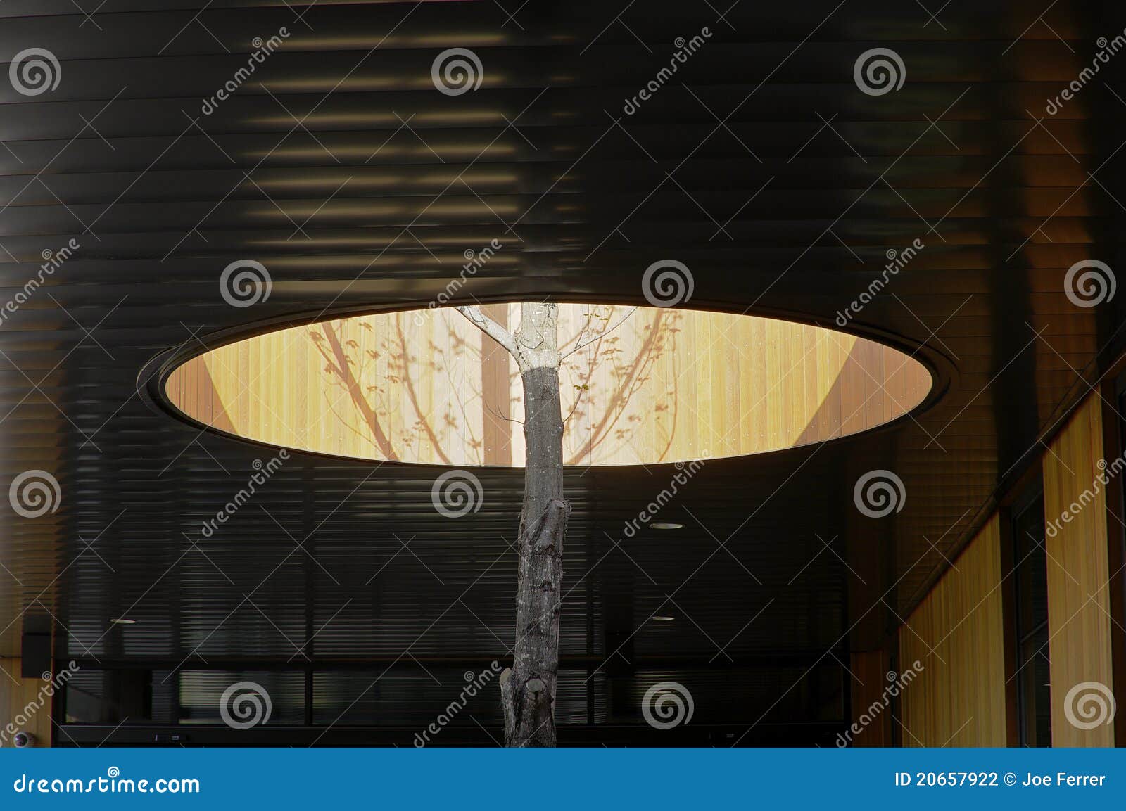 Circular Roof Cutout with Tree Stock Photo - Image of circle, surface ...