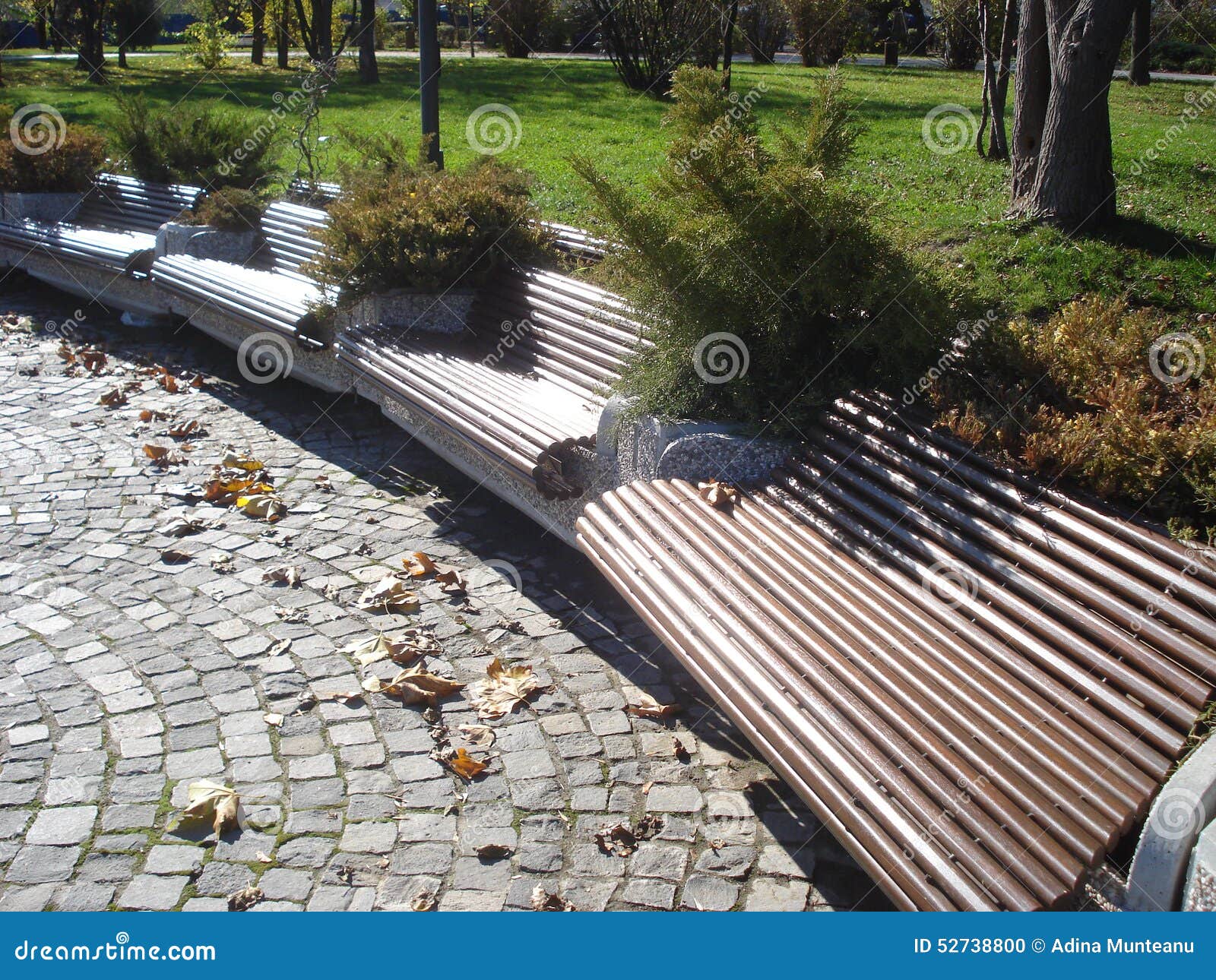 Circular Row of Benches in Park Stock Photo - Image of landscaping ...